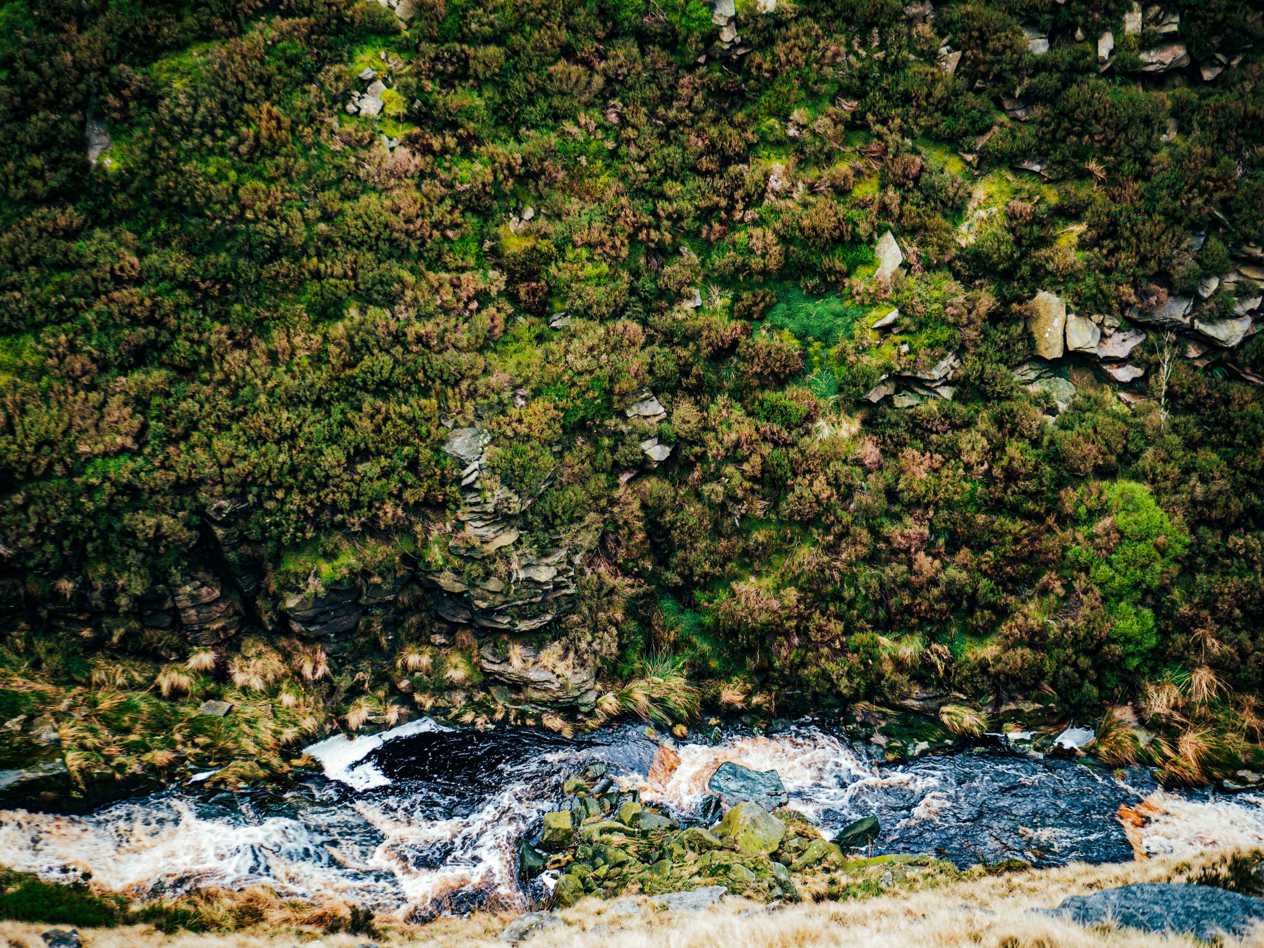 Lush green hillside with a narrow river flowing at its base.