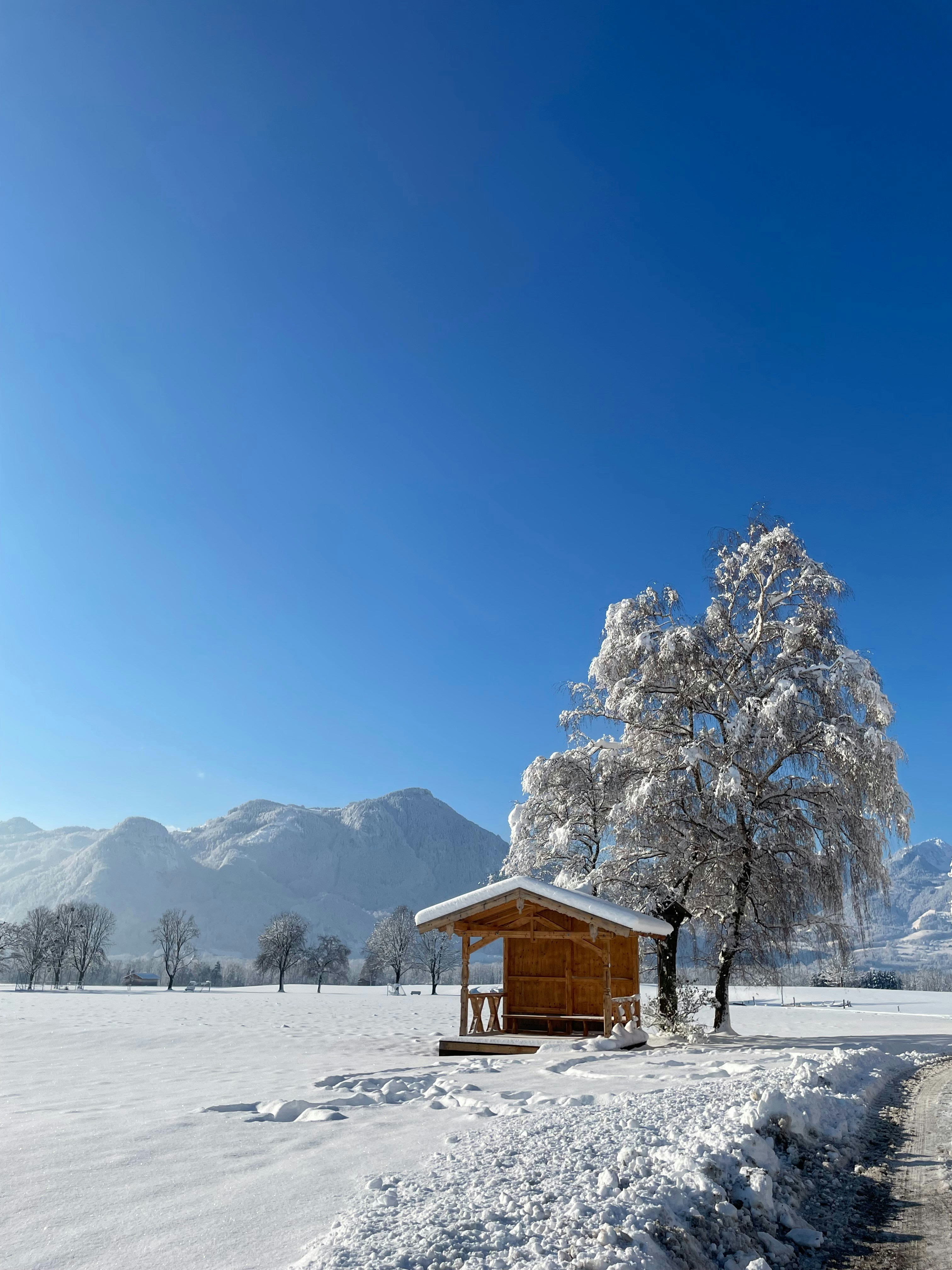 Foto Una pequeña cabaña en medio de un campo nevado – Imagen Azul ...