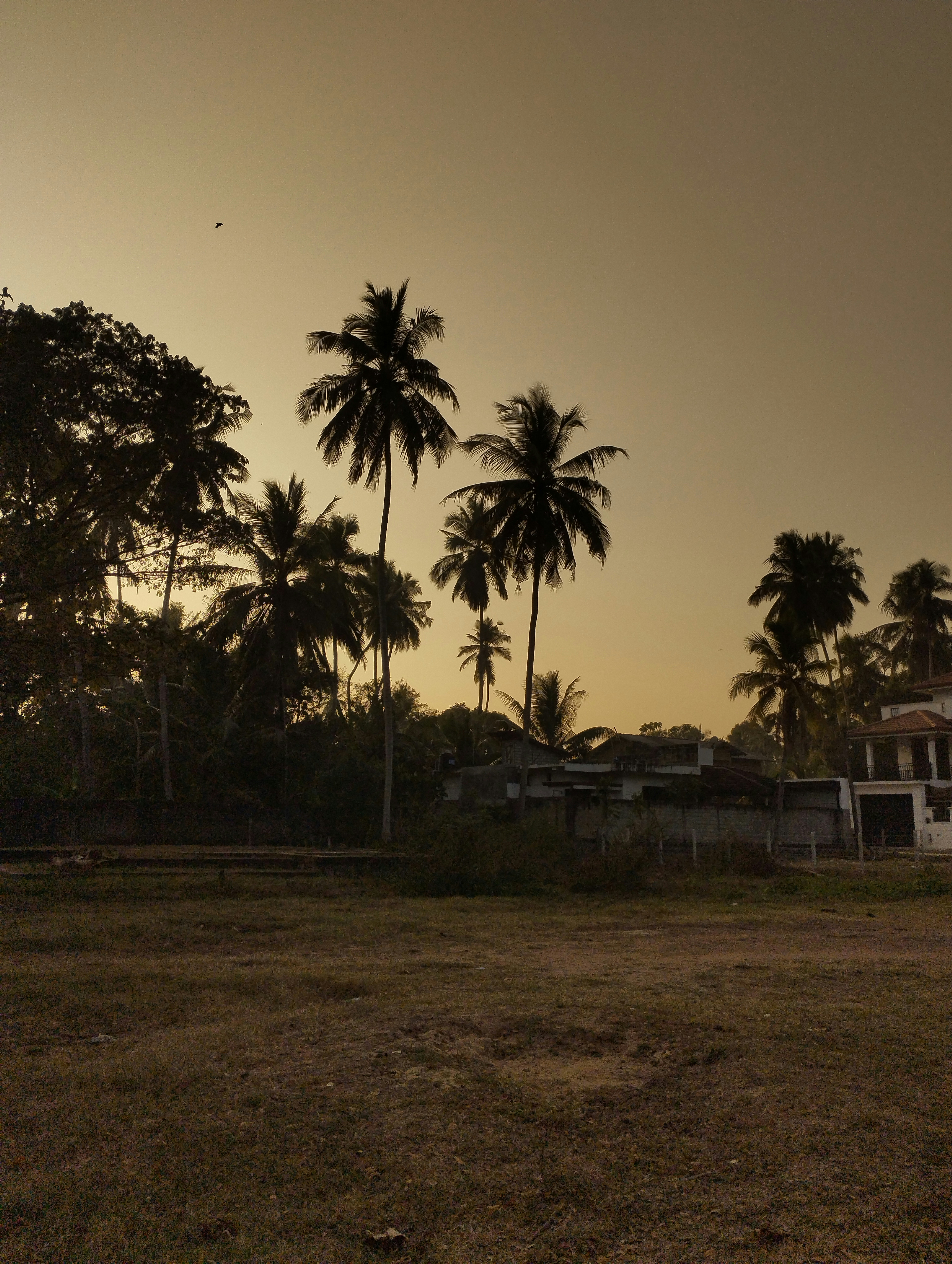 Photo by Vinula Jayaweera with Redmi Note 12