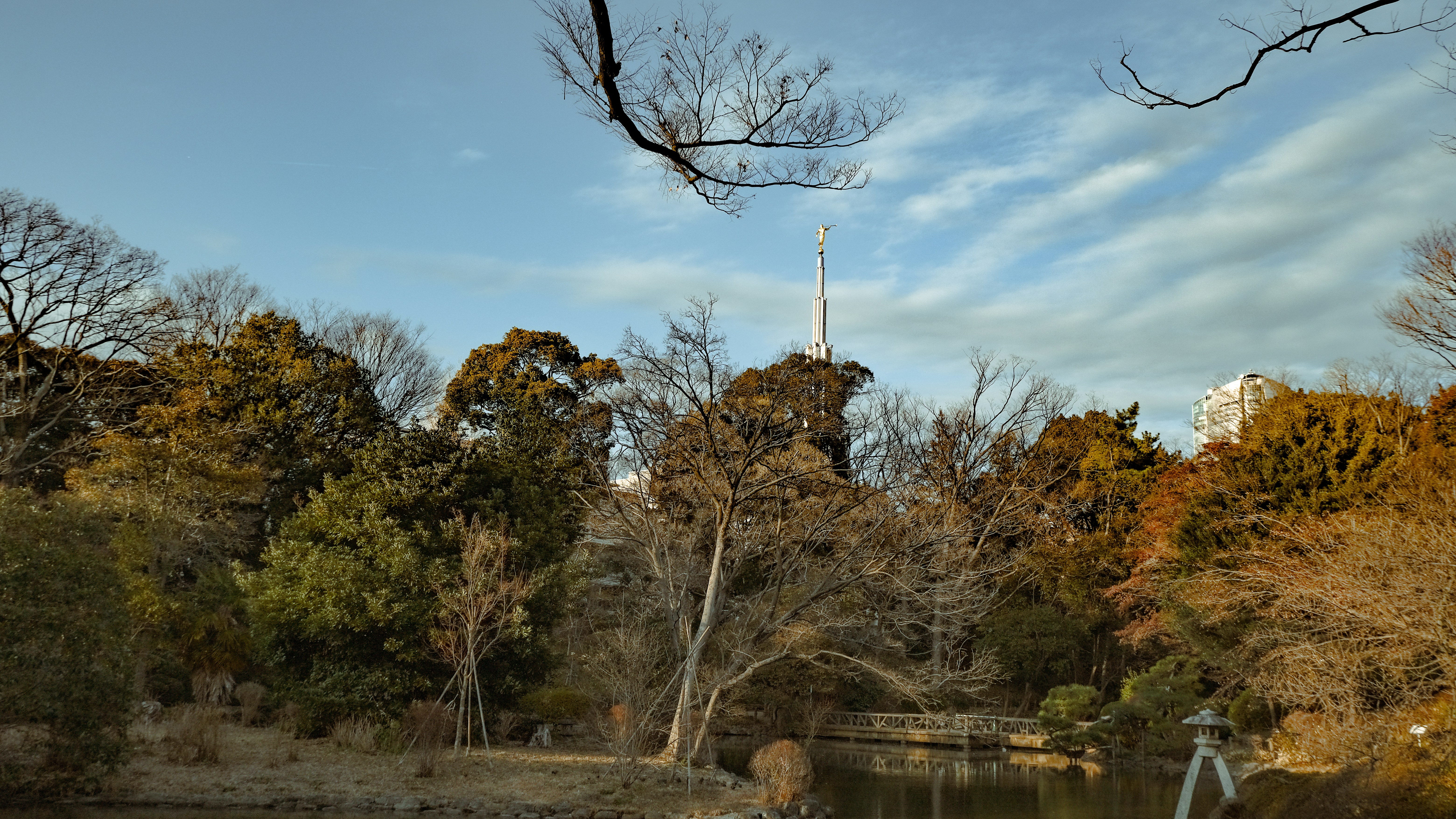 Spire in the Park: An Autumn-Quiet Vista Framed by Trees