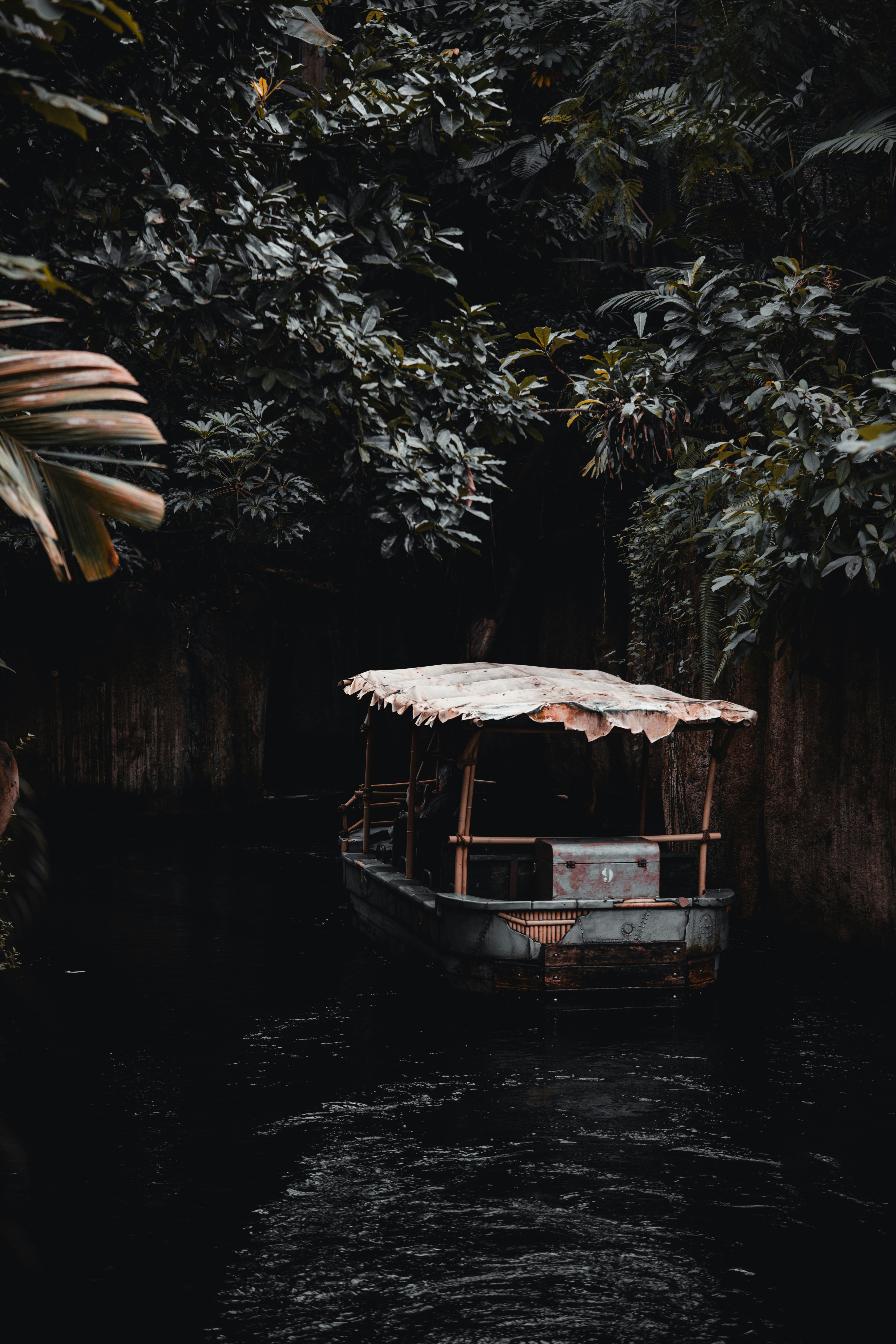 A boat floating down a river next to a forest photo – Free Grey Image ...