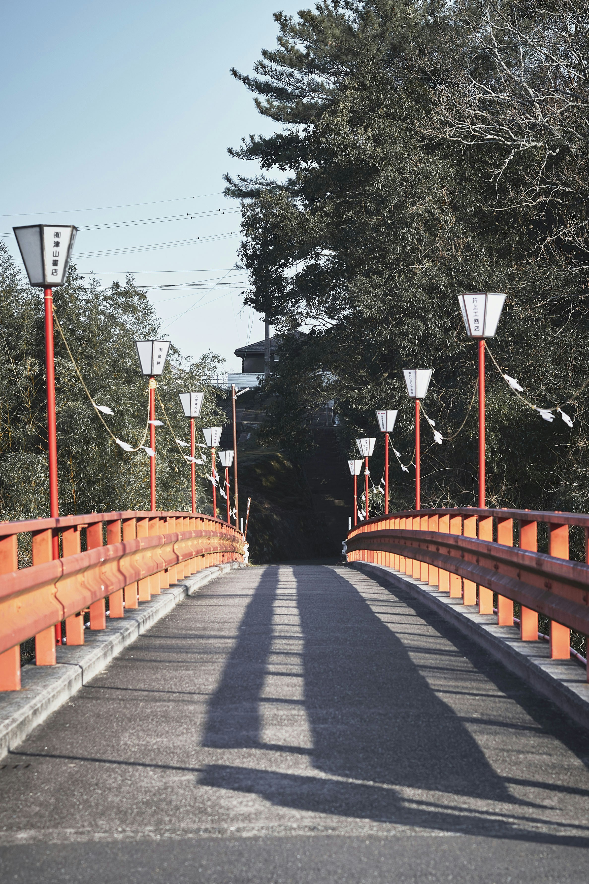 Crimson Rail Bridge: Lantern-guided Path into a Shadowed Forest Gate
