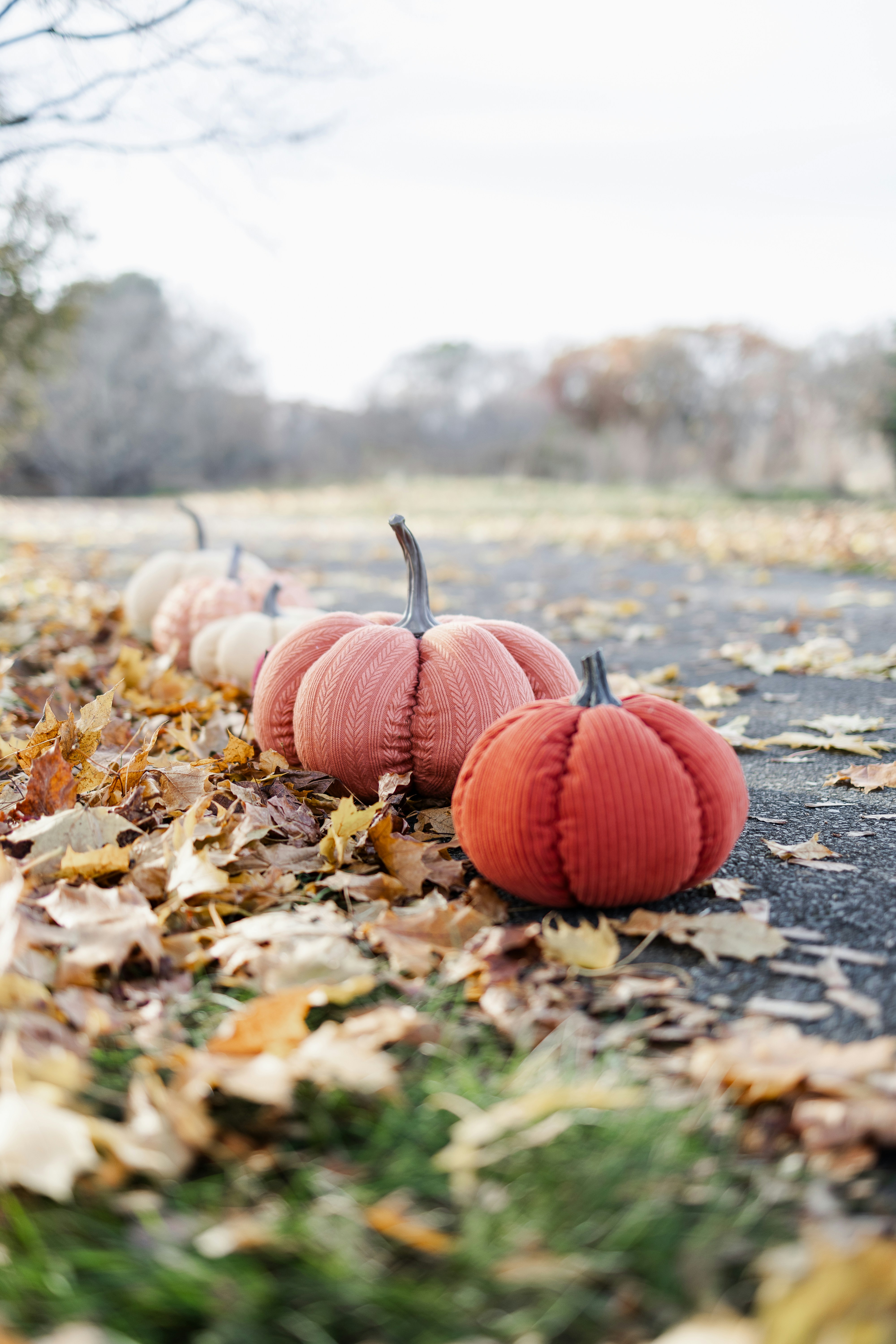 Harvest Harmony: A Row of Textured Pumpkins