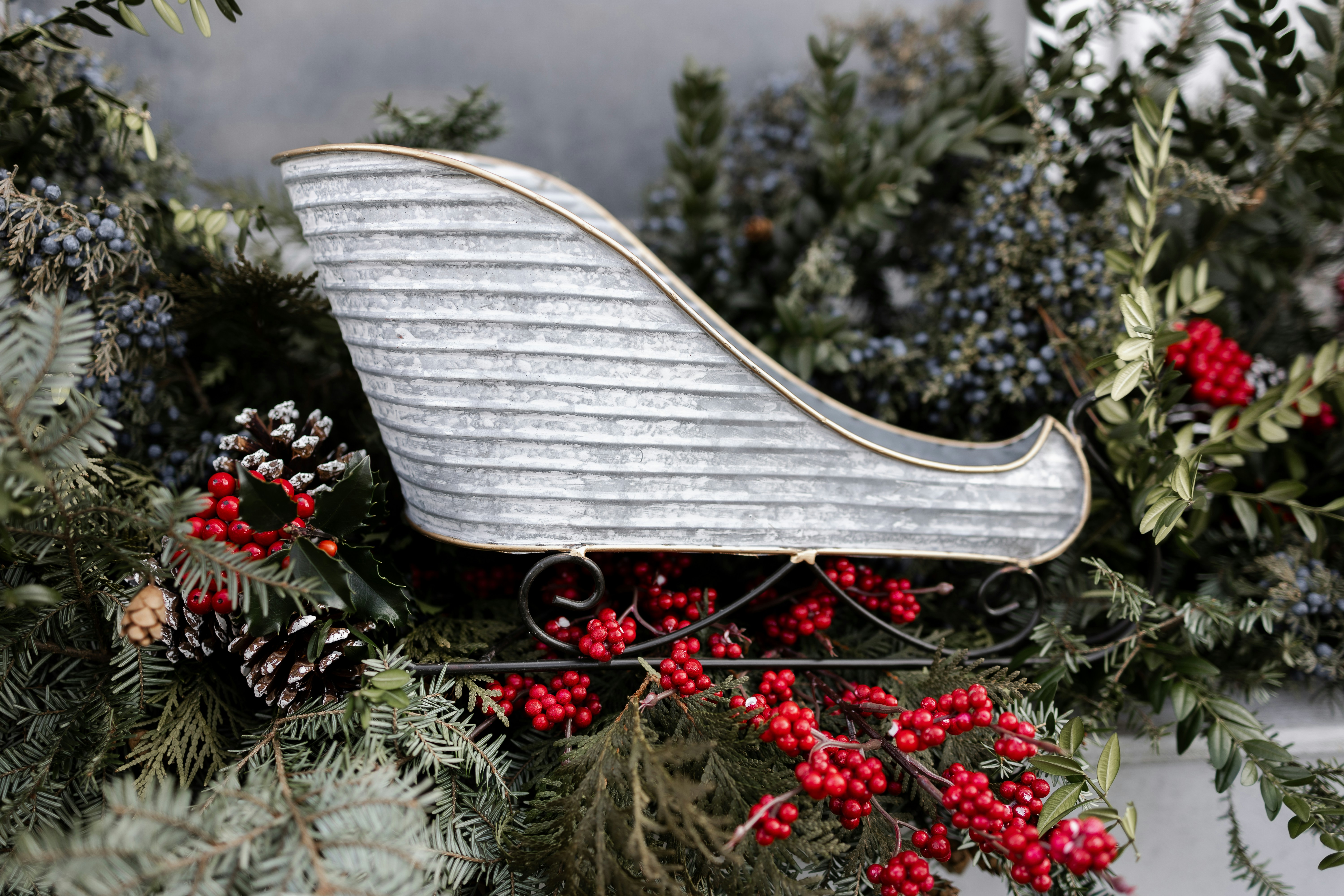 Silver Toboggan Crowned by Crimson Berries in a Winter Garland