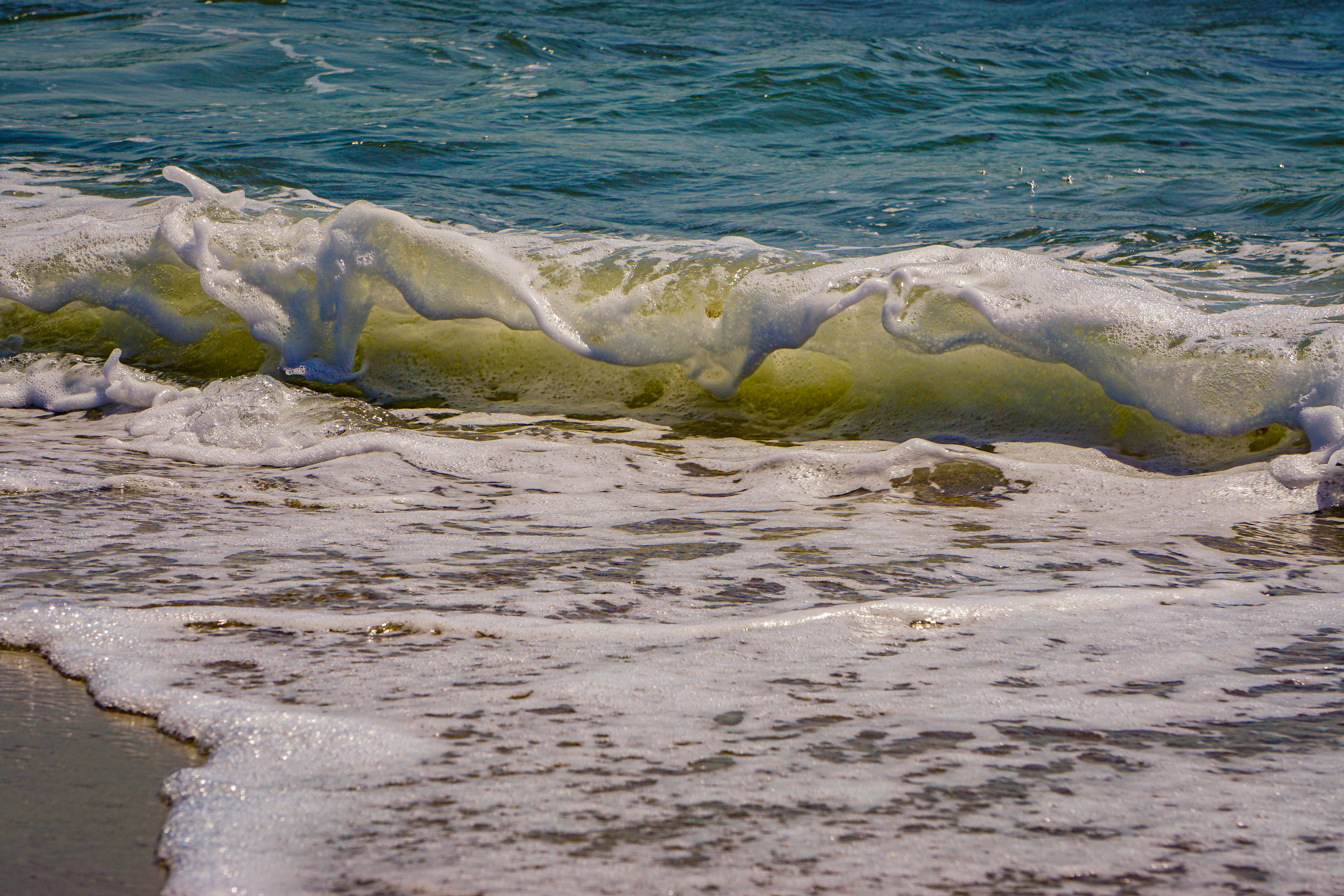 Cresting Foam on a Sunlit Shore: A Quiet Seascape
