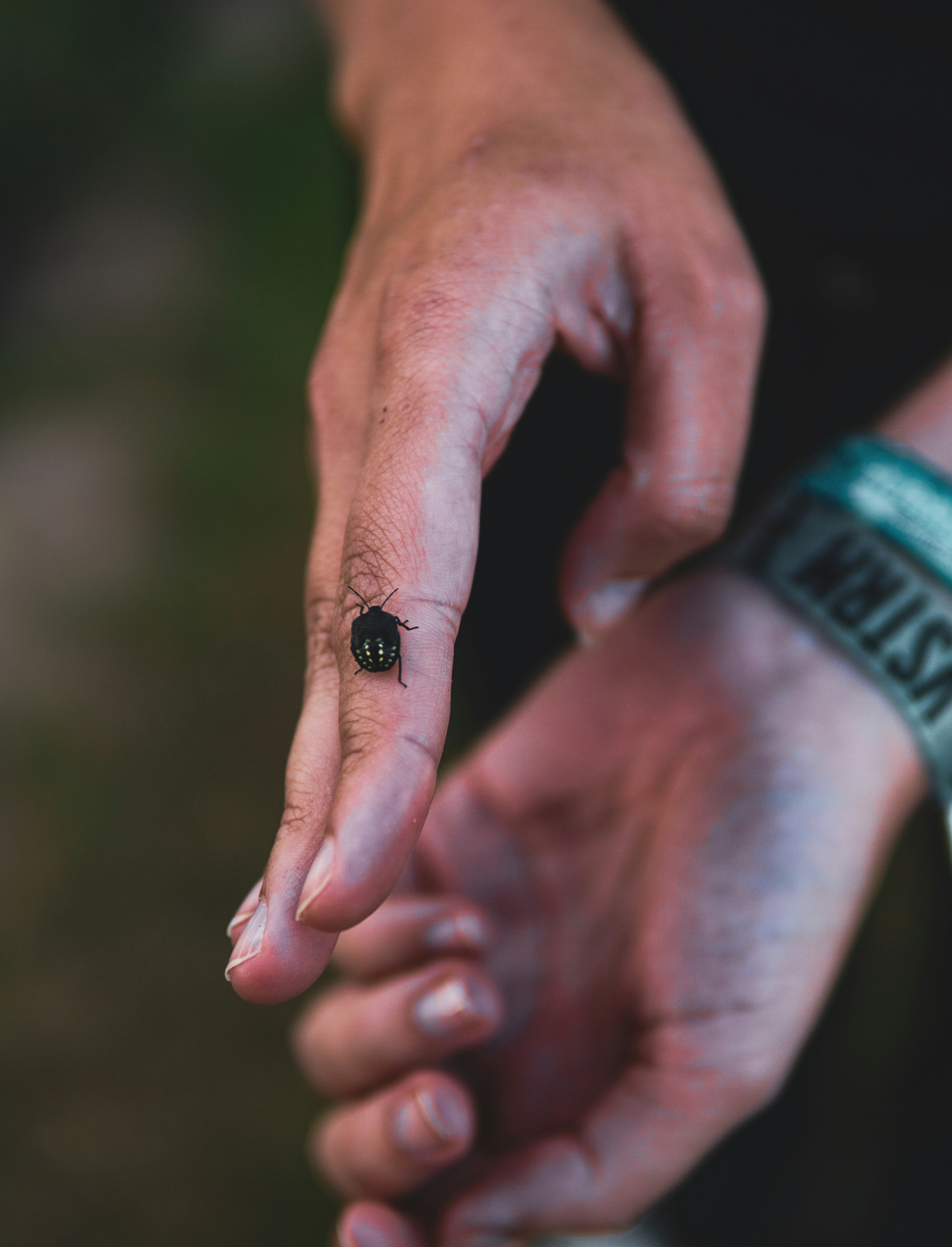 Macro Portrait: A Tiny Beetle Resting on a Weathered Finger