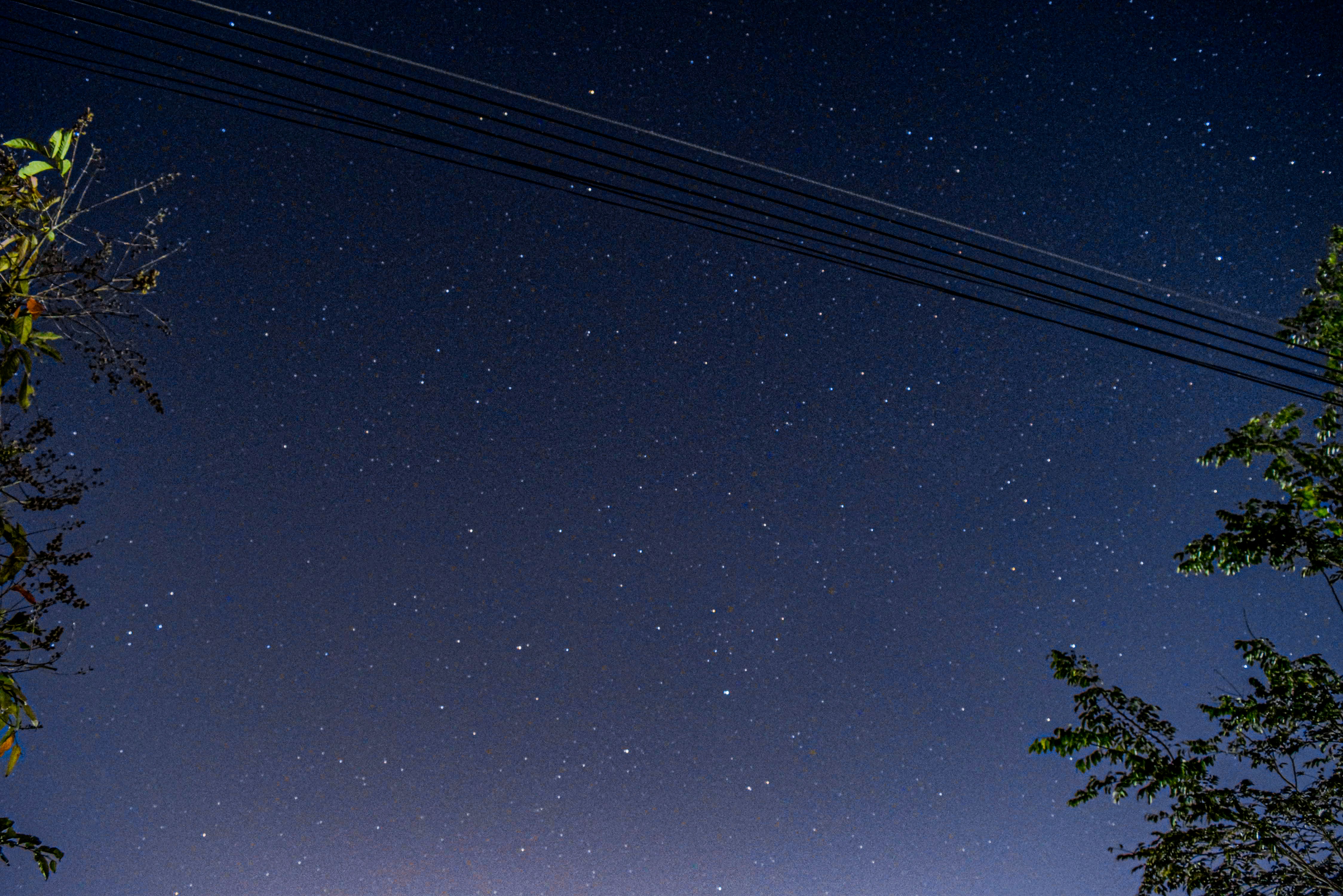 Photo by Nopparuj Lamaikul with Nikon D5300