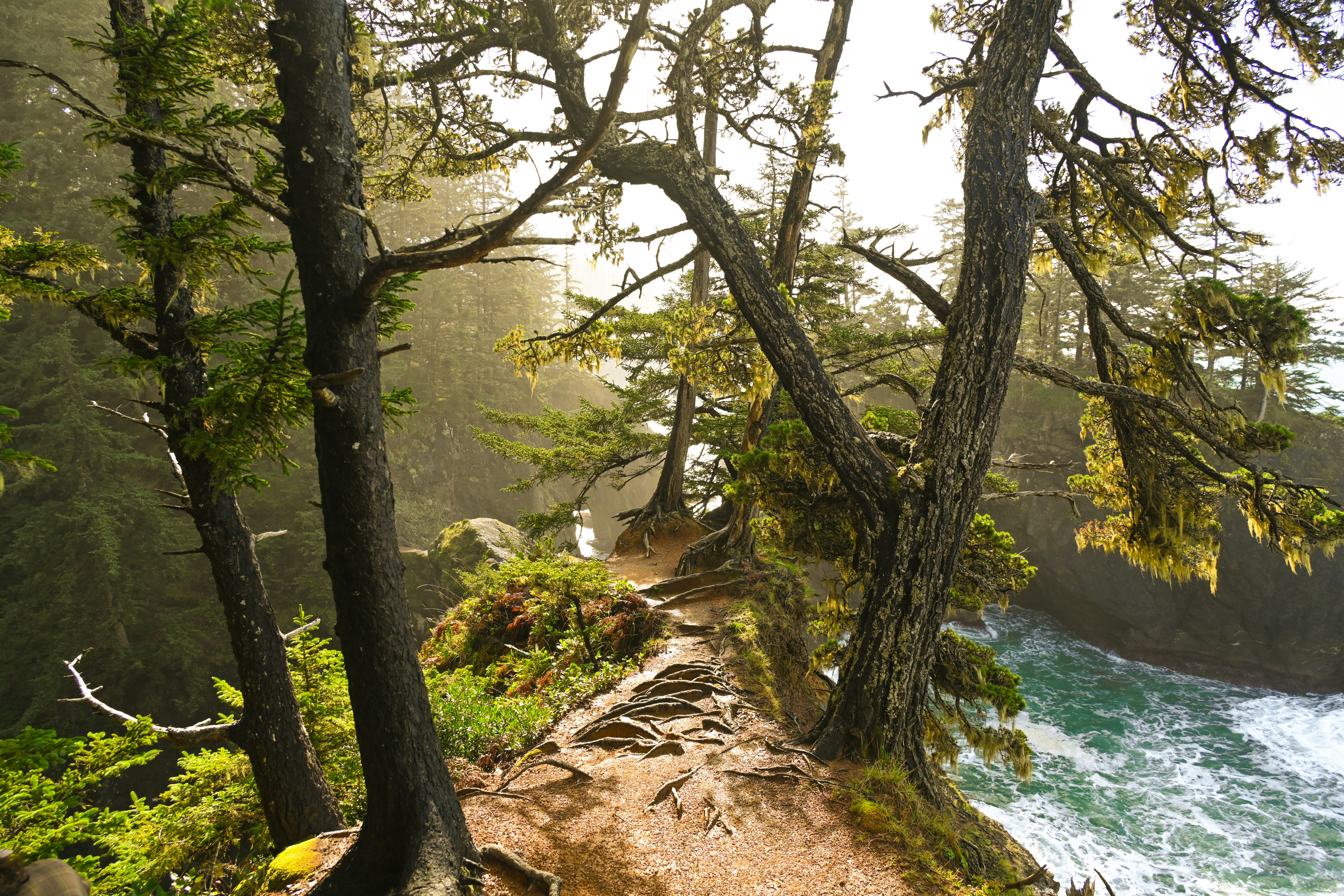 Un chemin rocheux menant à un plan d’eau photo – Photo La nature ...