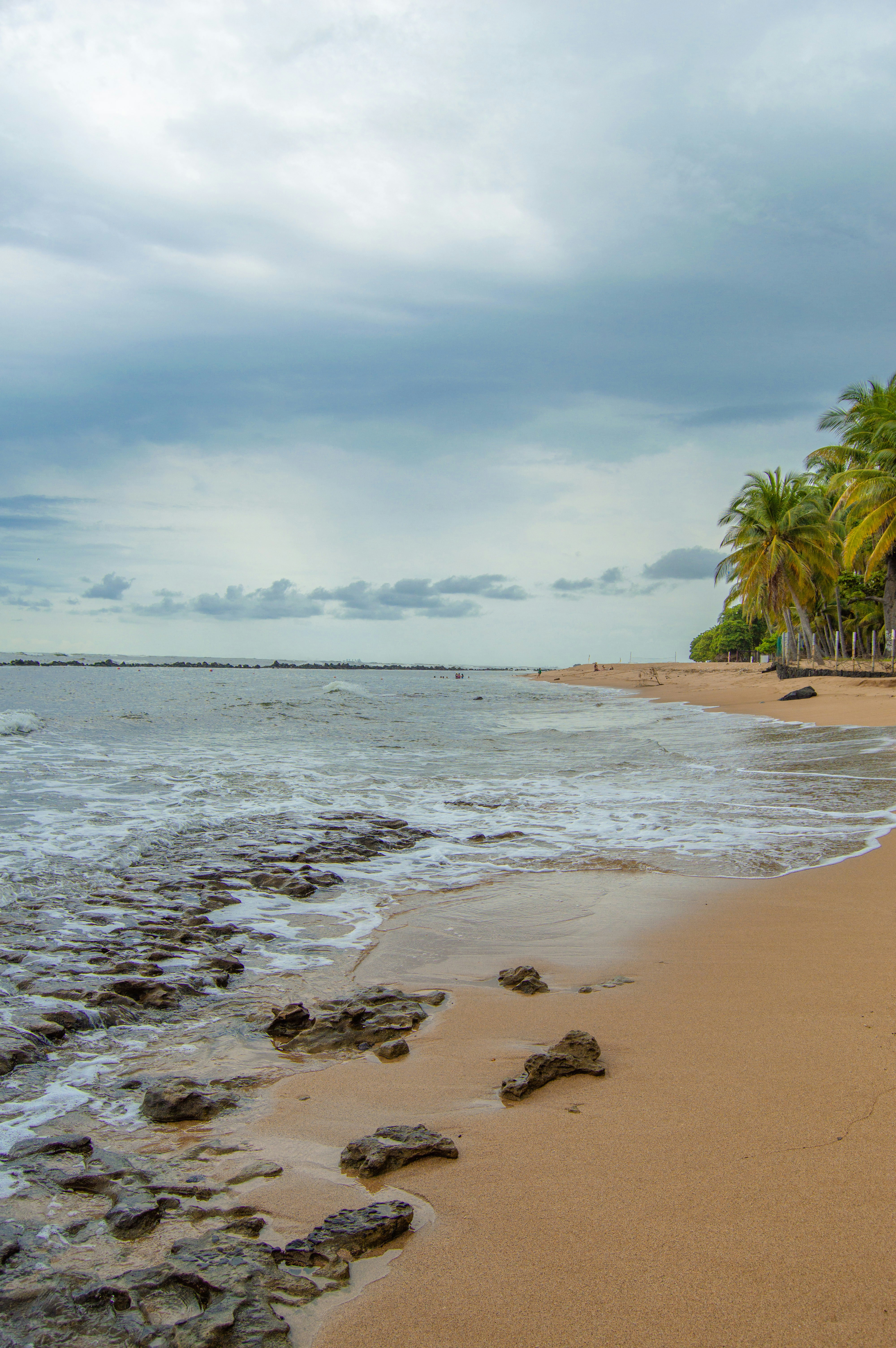 Gentle waves lap against a sandy beach lined with palm trees under a cloudy sky. The rocky shoreline adds texture to the tranquil scene.