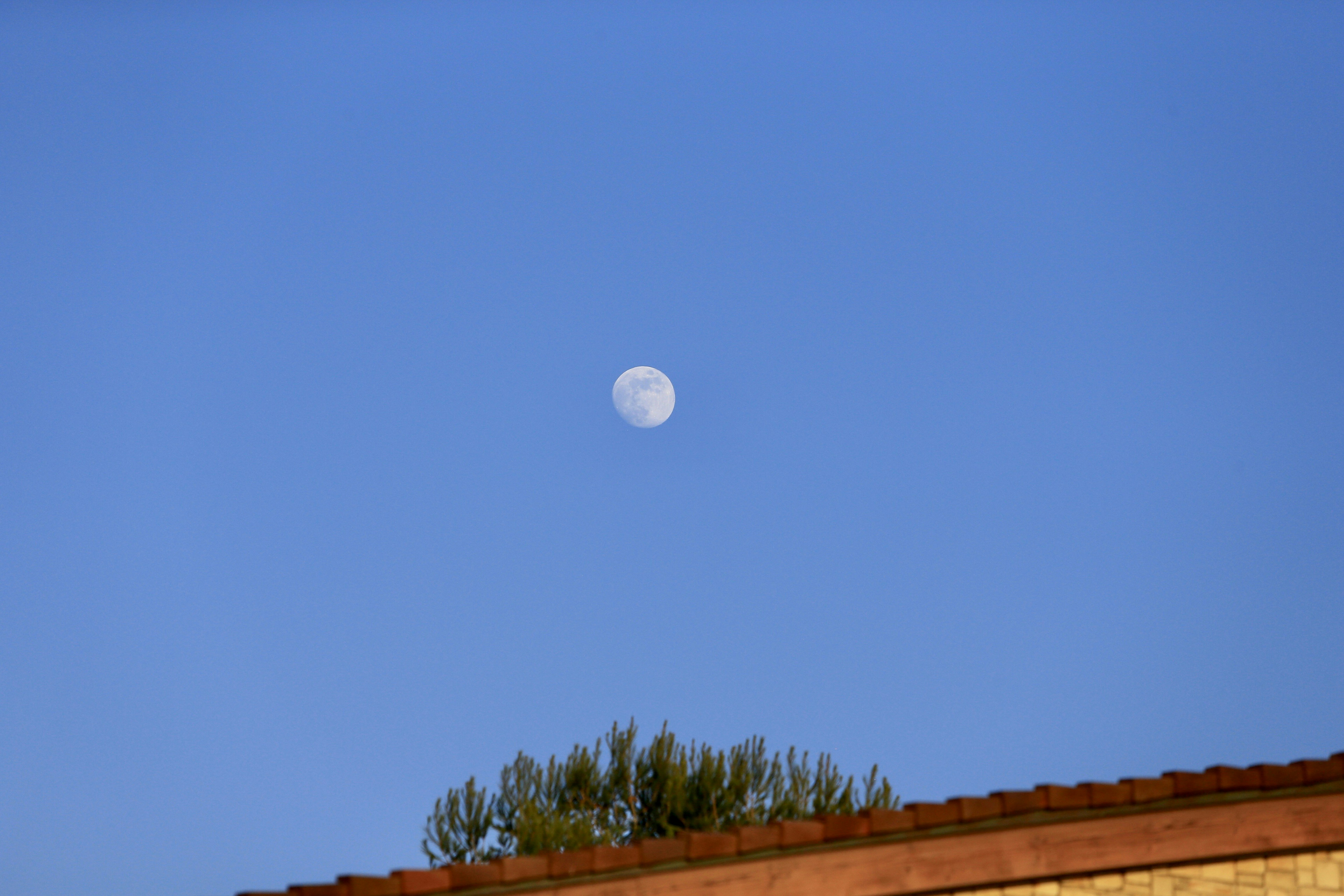 A view of the moon from the roof of a building photo – Free Moon Image ...