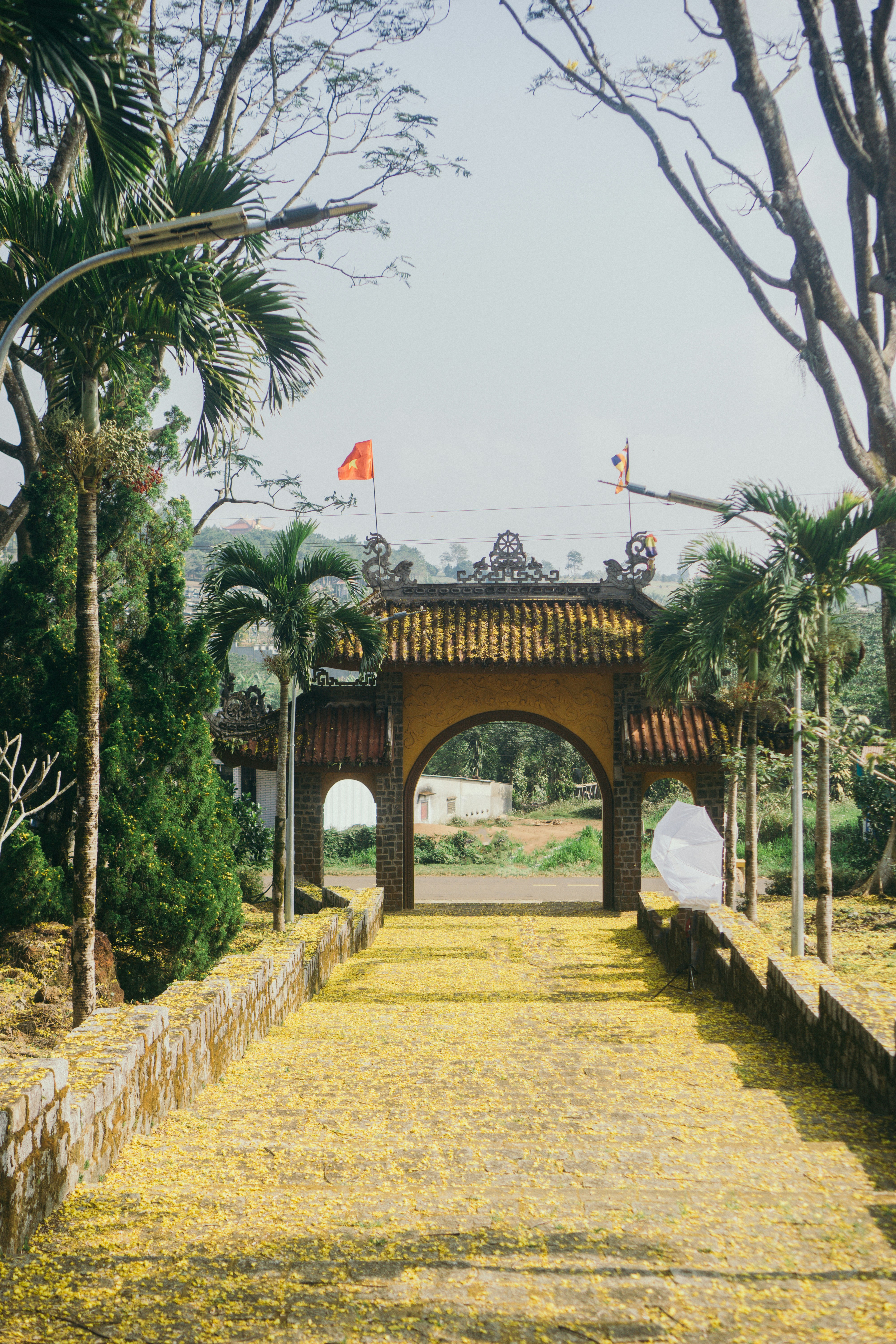 A vibrant pathway adorned with yellow petals leading to an ornate archway, framed by lush greenery and palm trees.