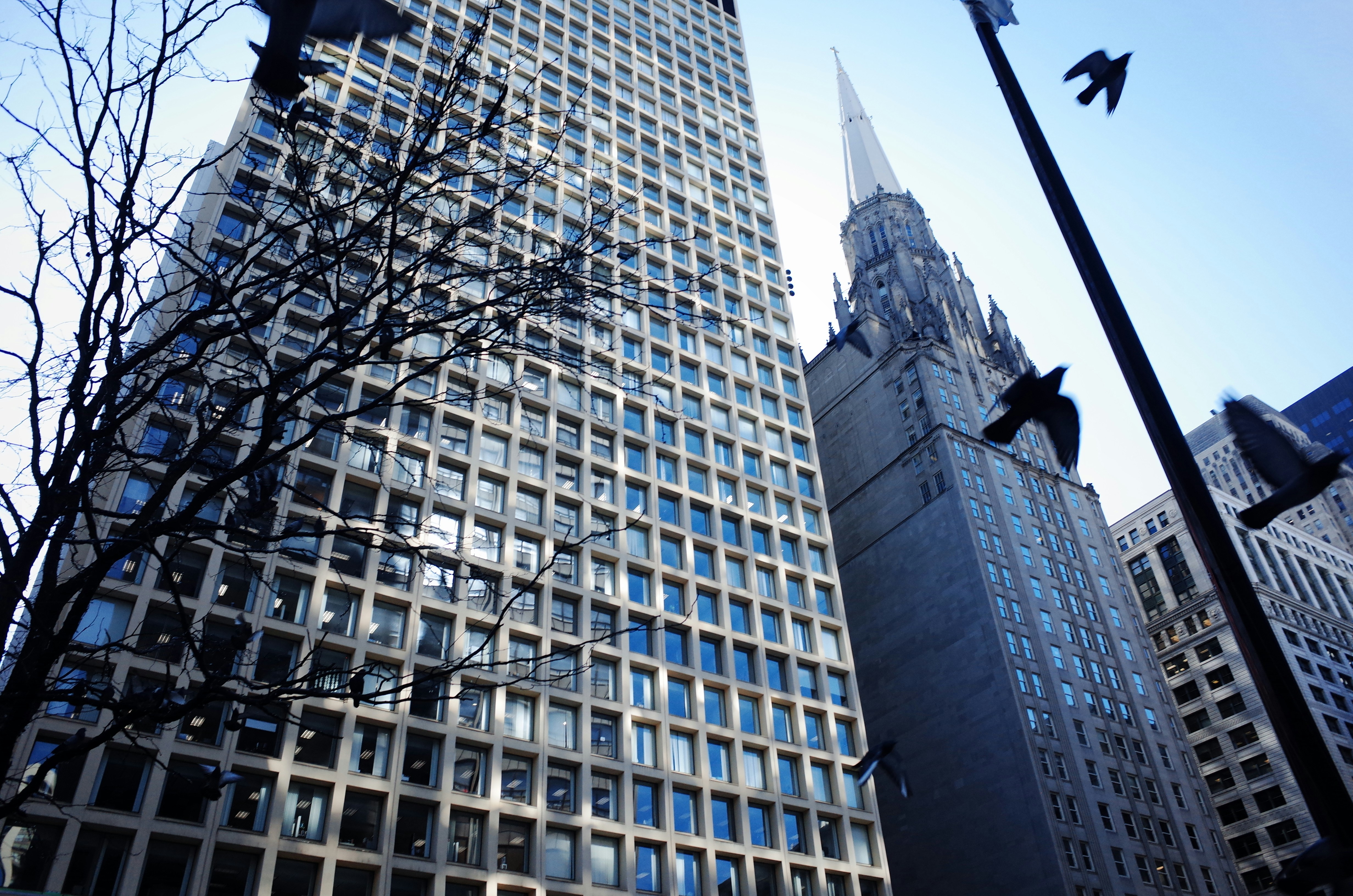 A very tall building with a very tall spire photo – Free Grey Image on ...