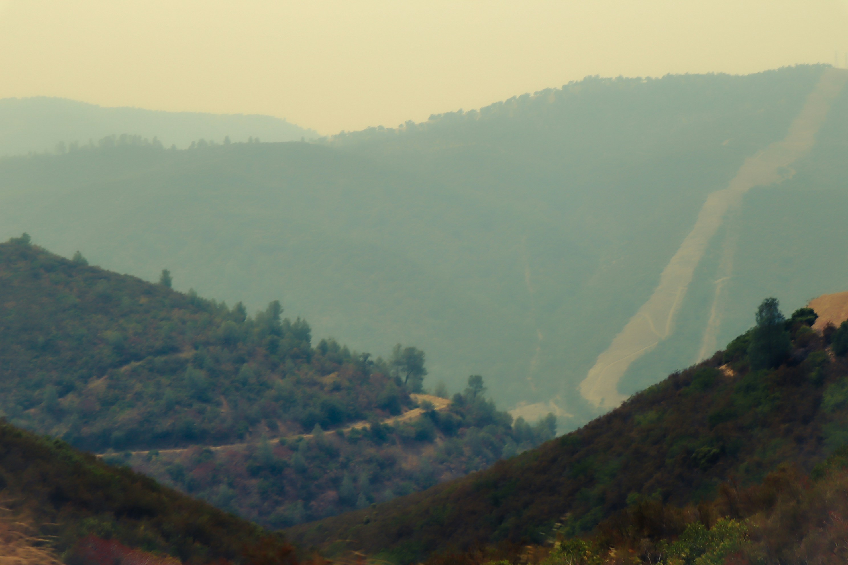 Golden Dusk over Silenced Valleys: A Ridge Carved by Mist