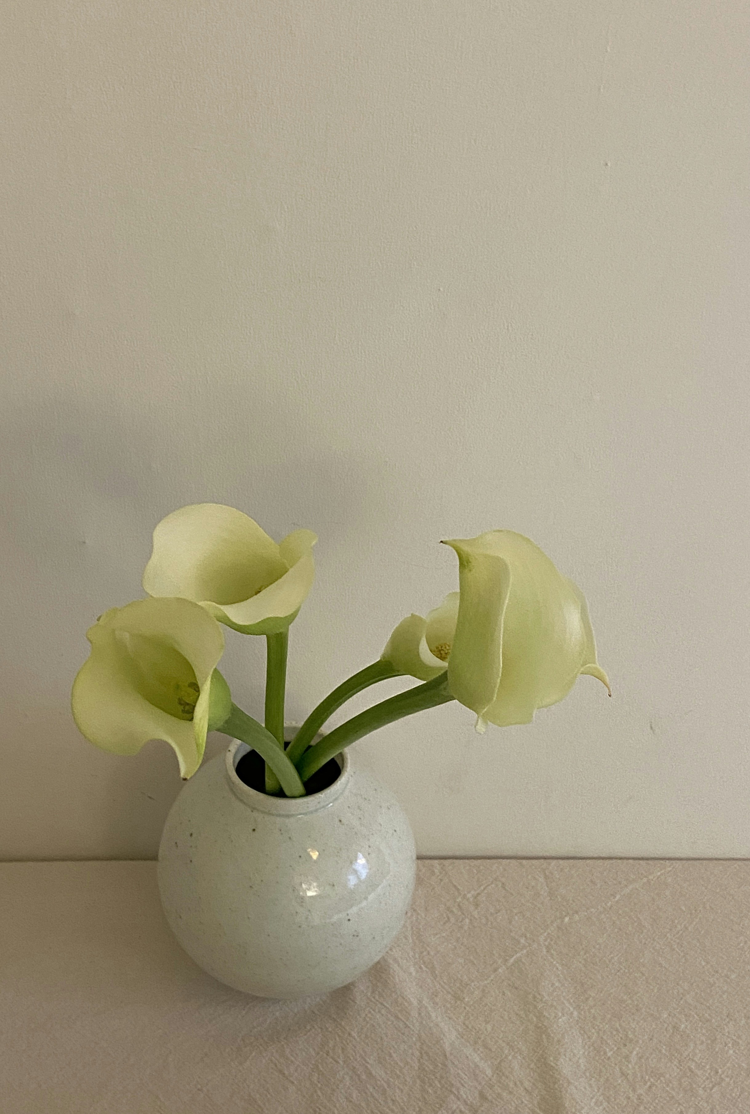 Cream Calla Lilies in a Quiet Ceramic Vessel