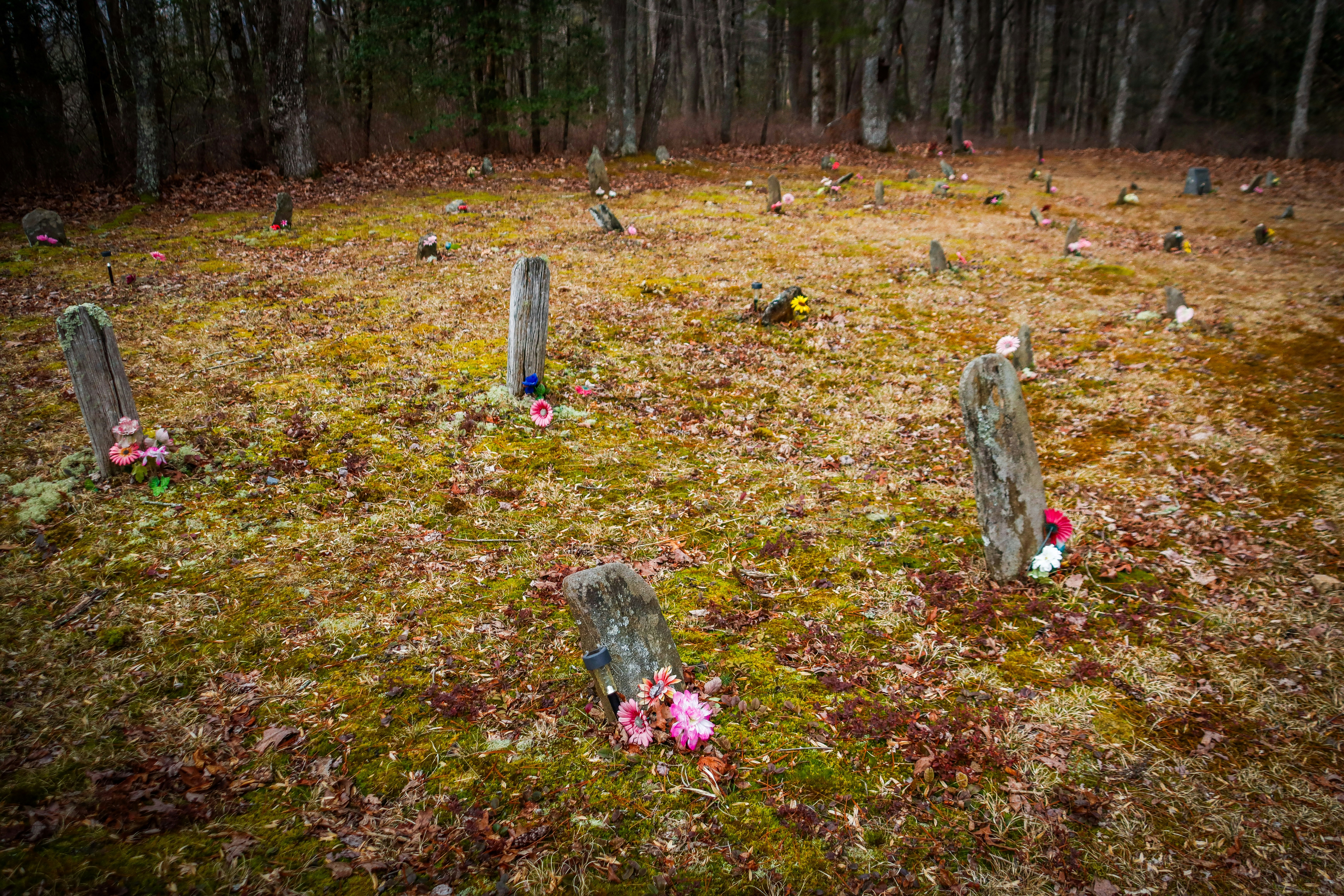 Moss-covered grave markers with scattered flowers in a quiet, wooded cemetery.