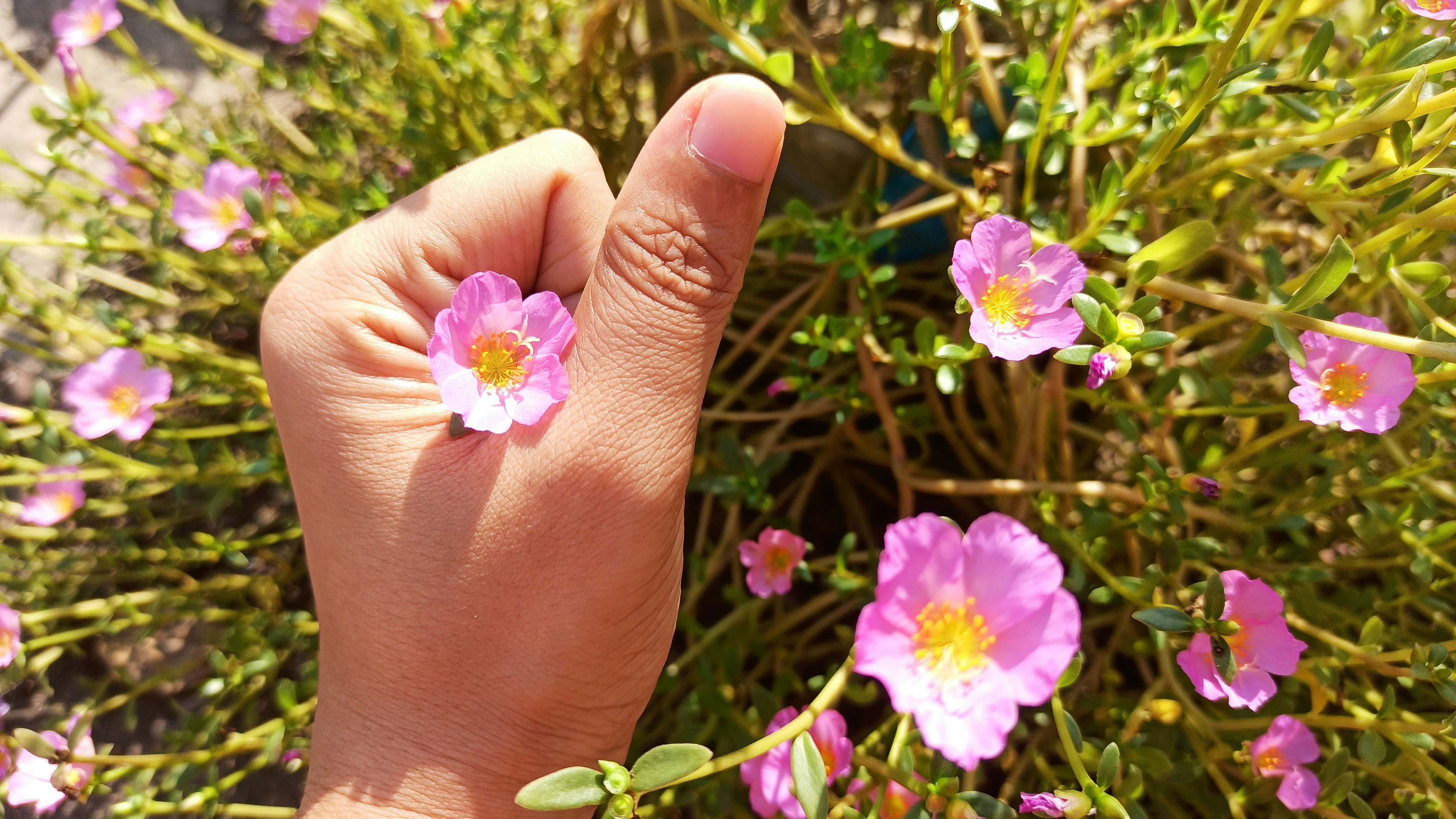 Photo by Ritu khandaker with Xiaomi Redmi Note 8 Pro