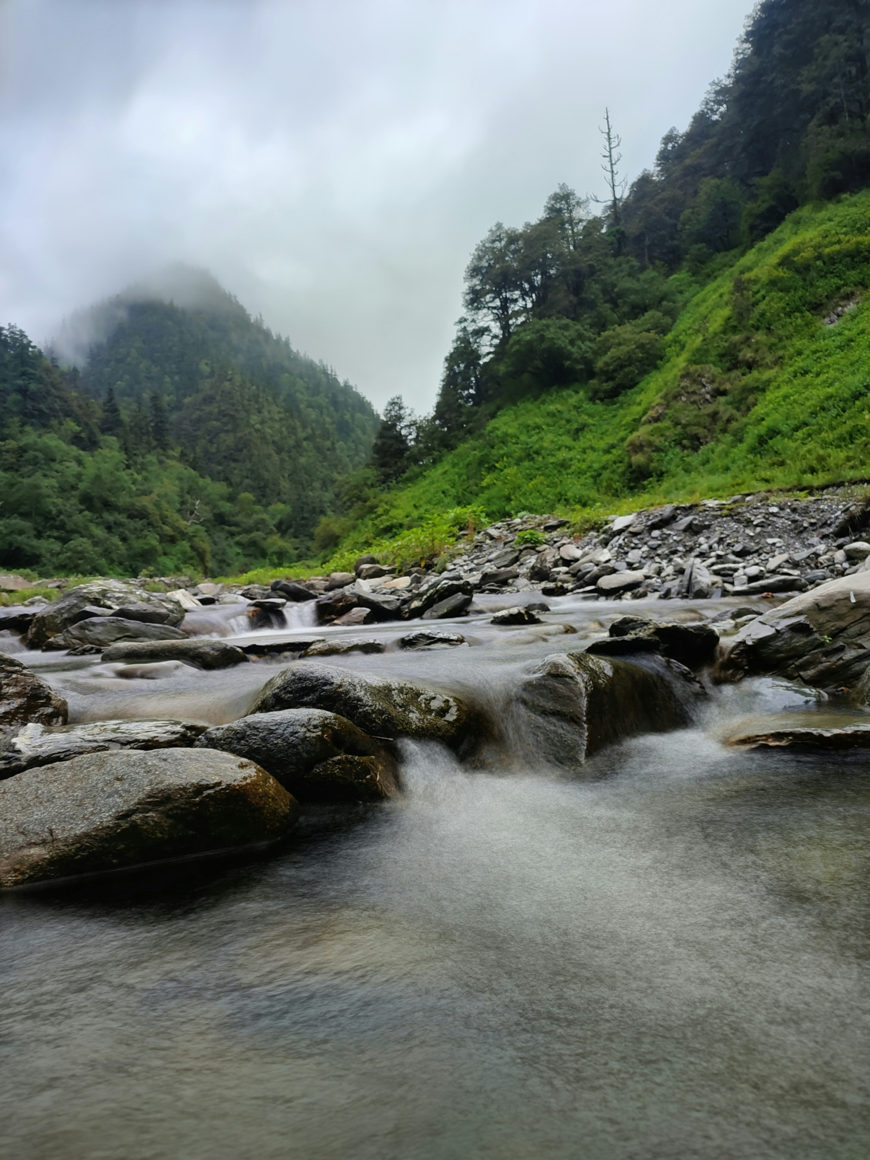 Rushing River Between Mossy Stones and Misty Green Valleys