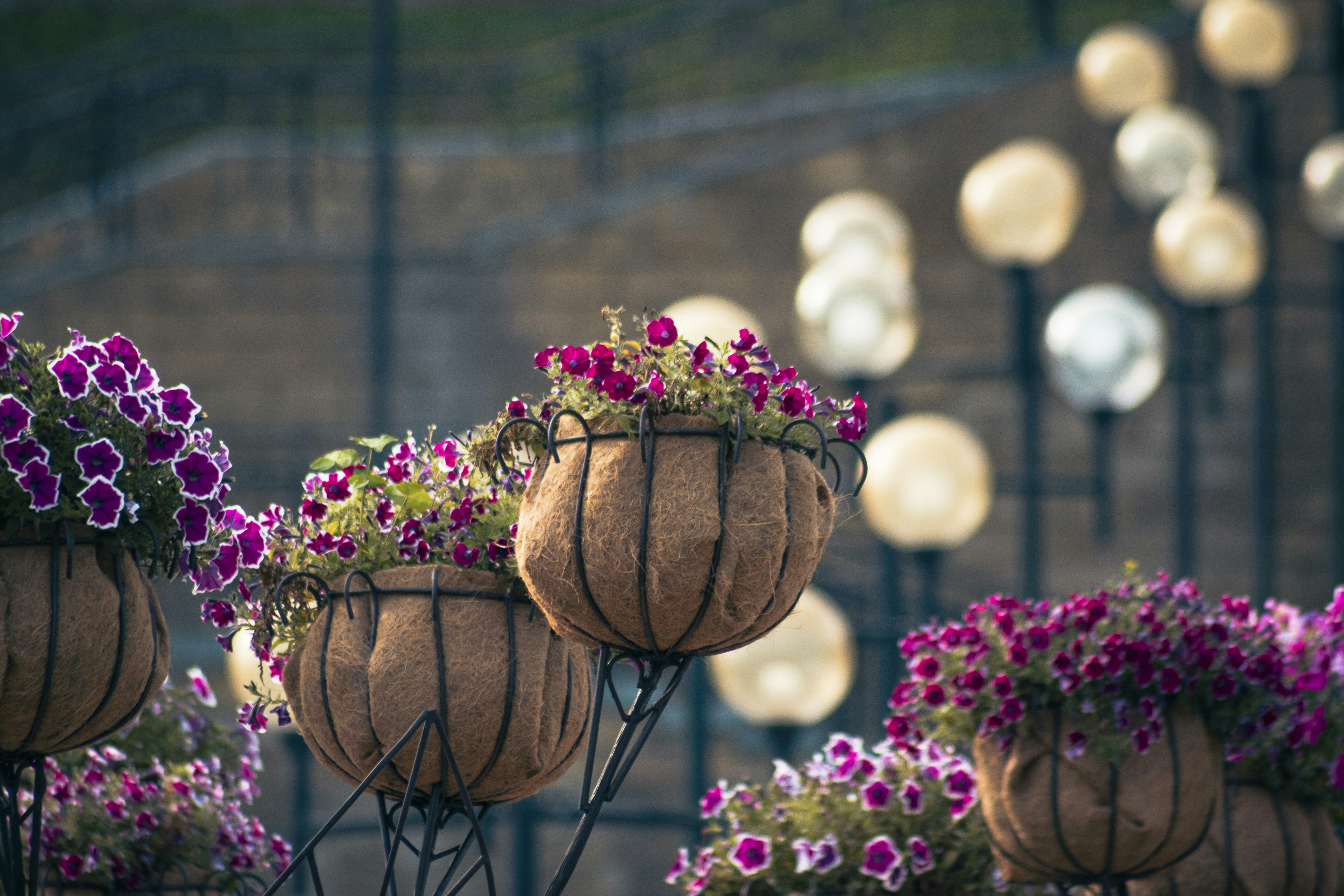 If you liked my photo, you can follow me on Instagram: @alexanderfastovets2