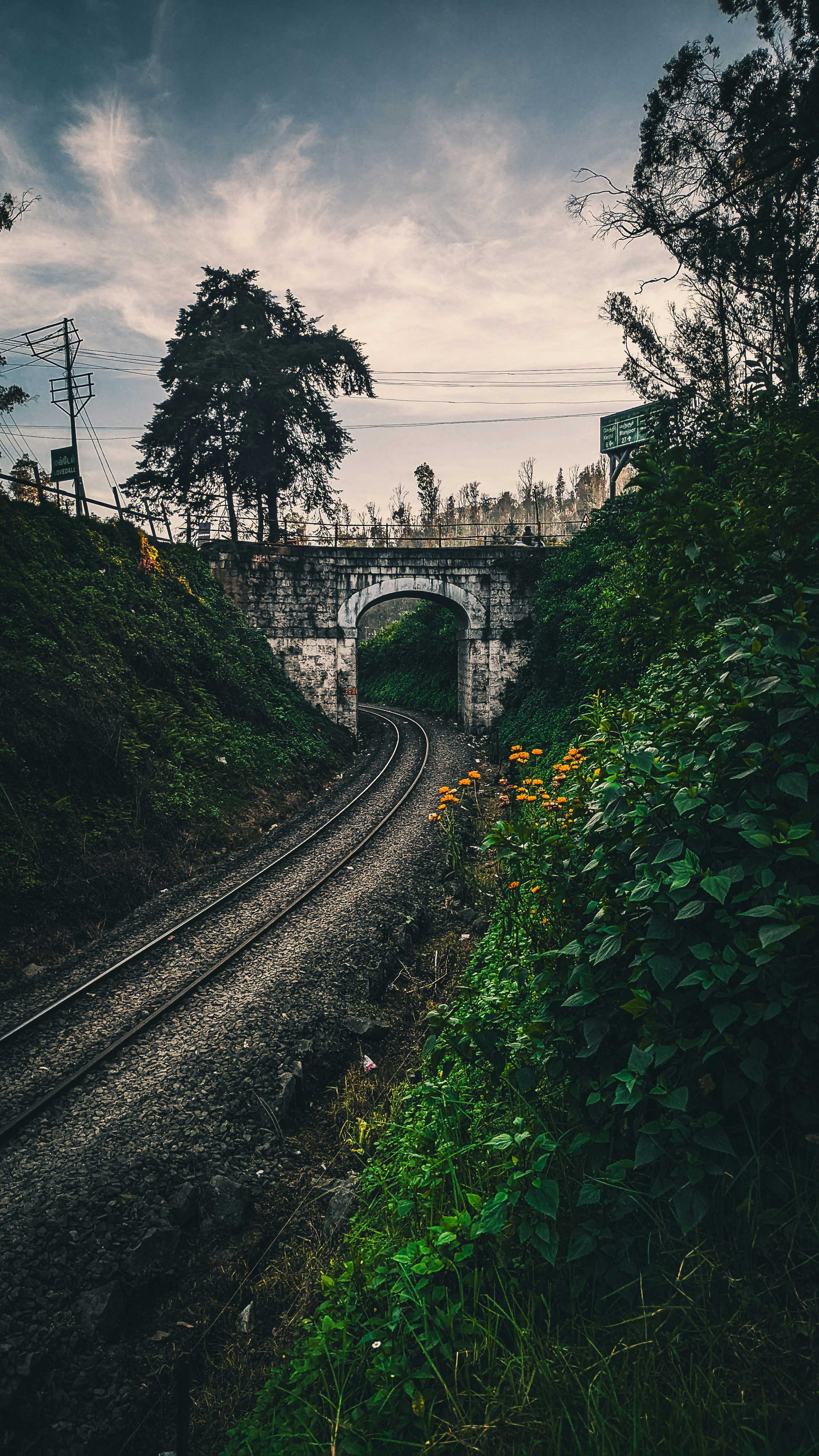 Sample photo from Realme Narzo 50 Pro