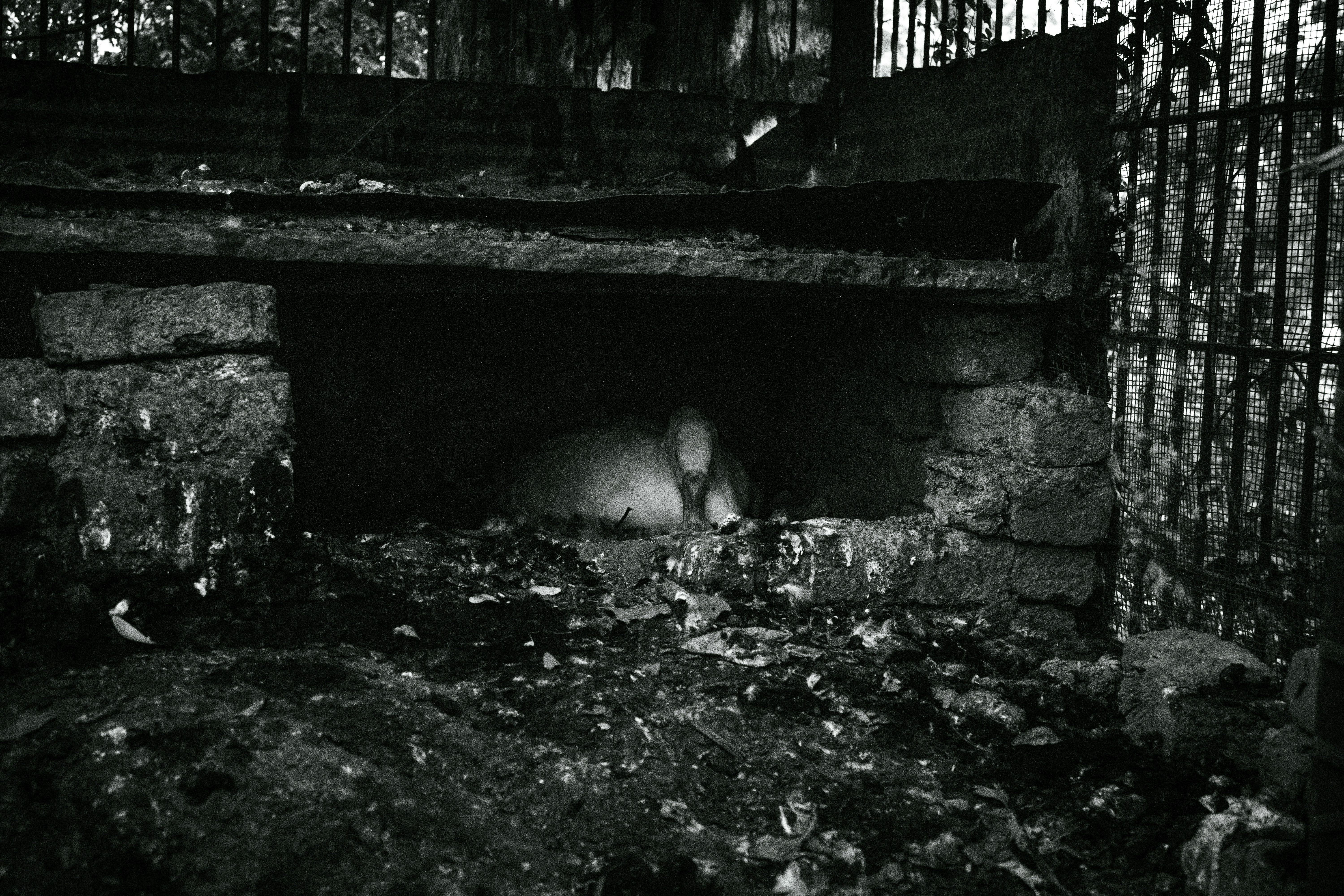 Photo by devanshu verma with Canon EOS 2000D