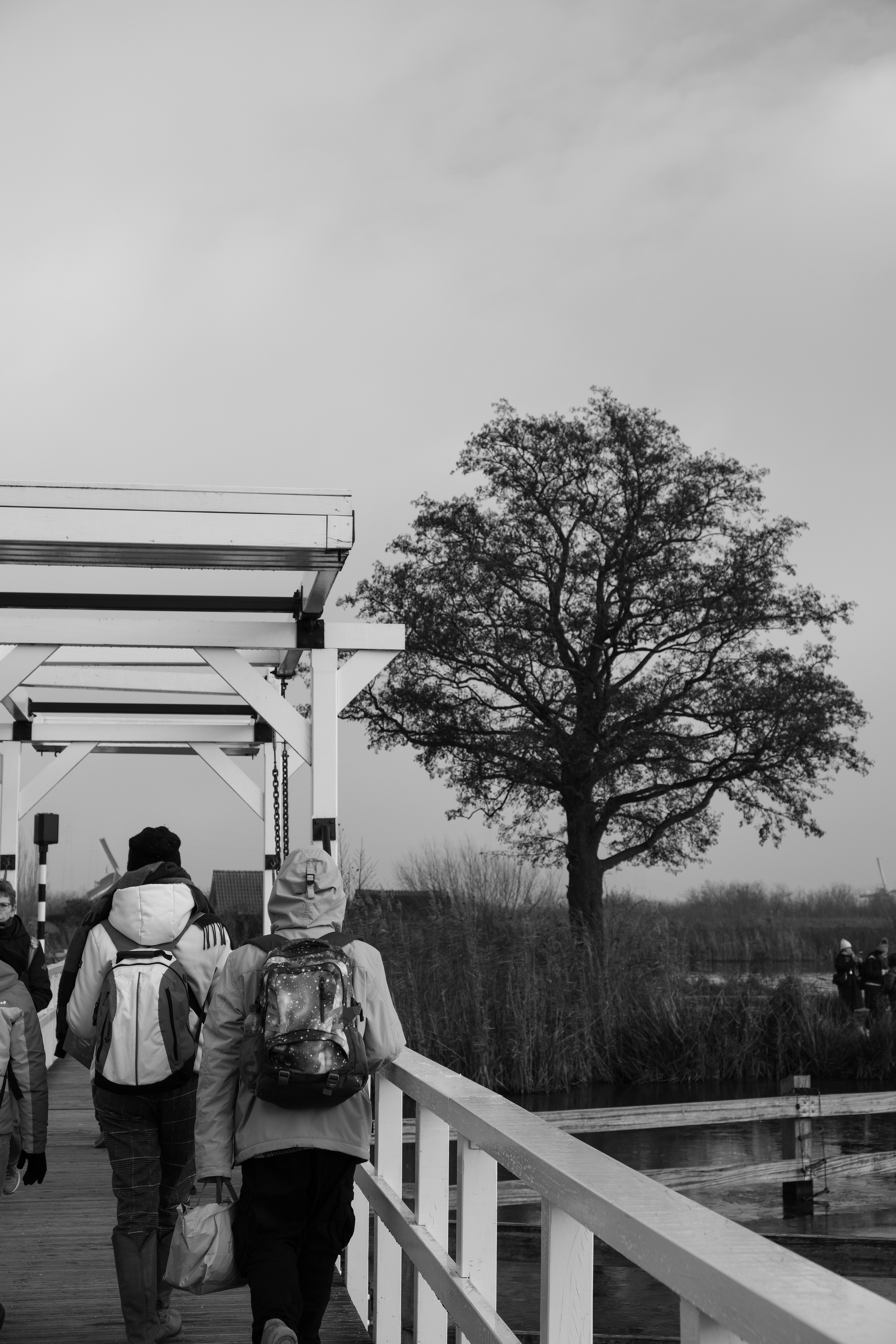 Traveler's Waypoint: A Quiet Corner on the Wooded Pier