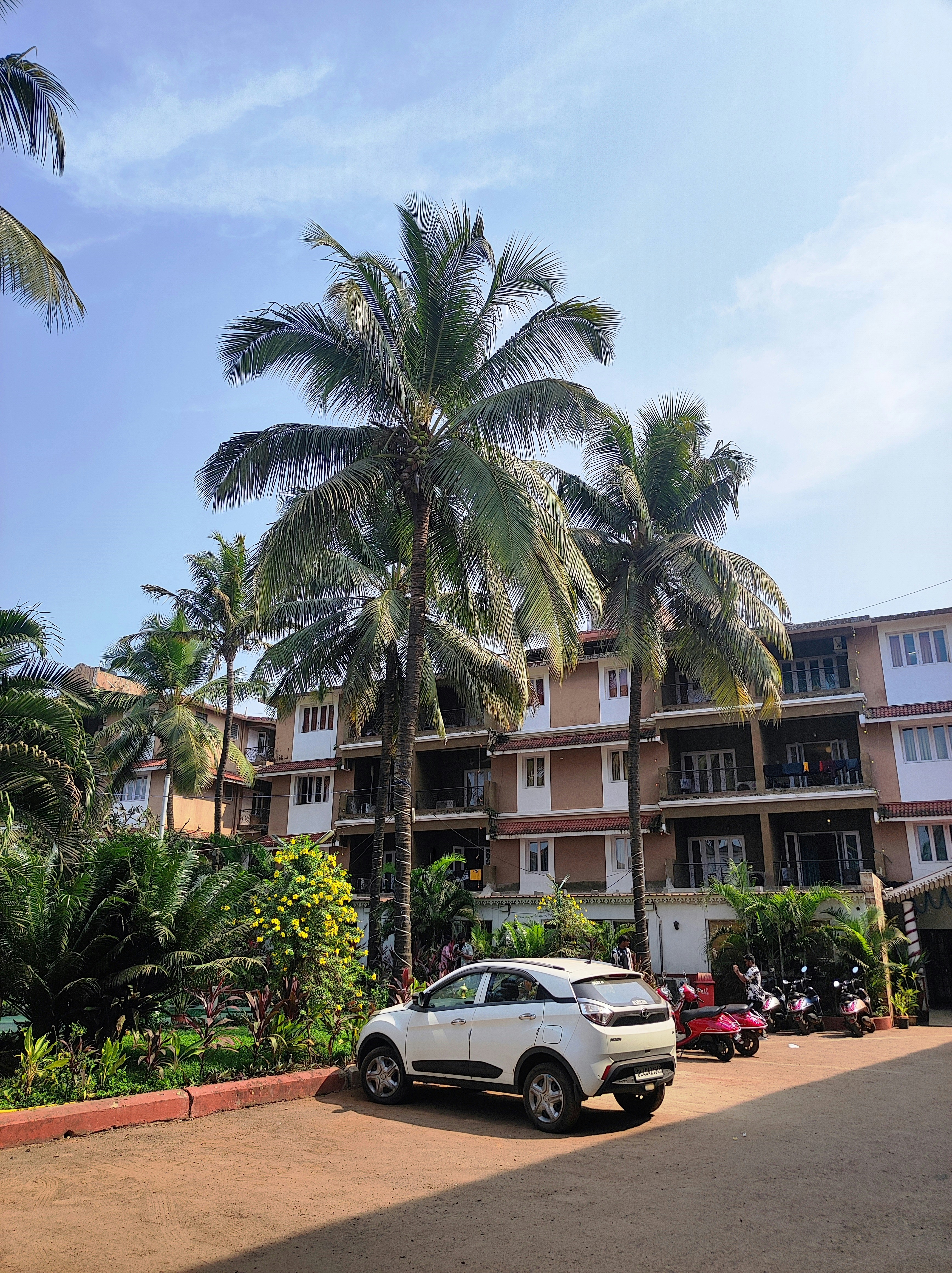 Palm-adorned courtyard keeper under a clear tropical sky