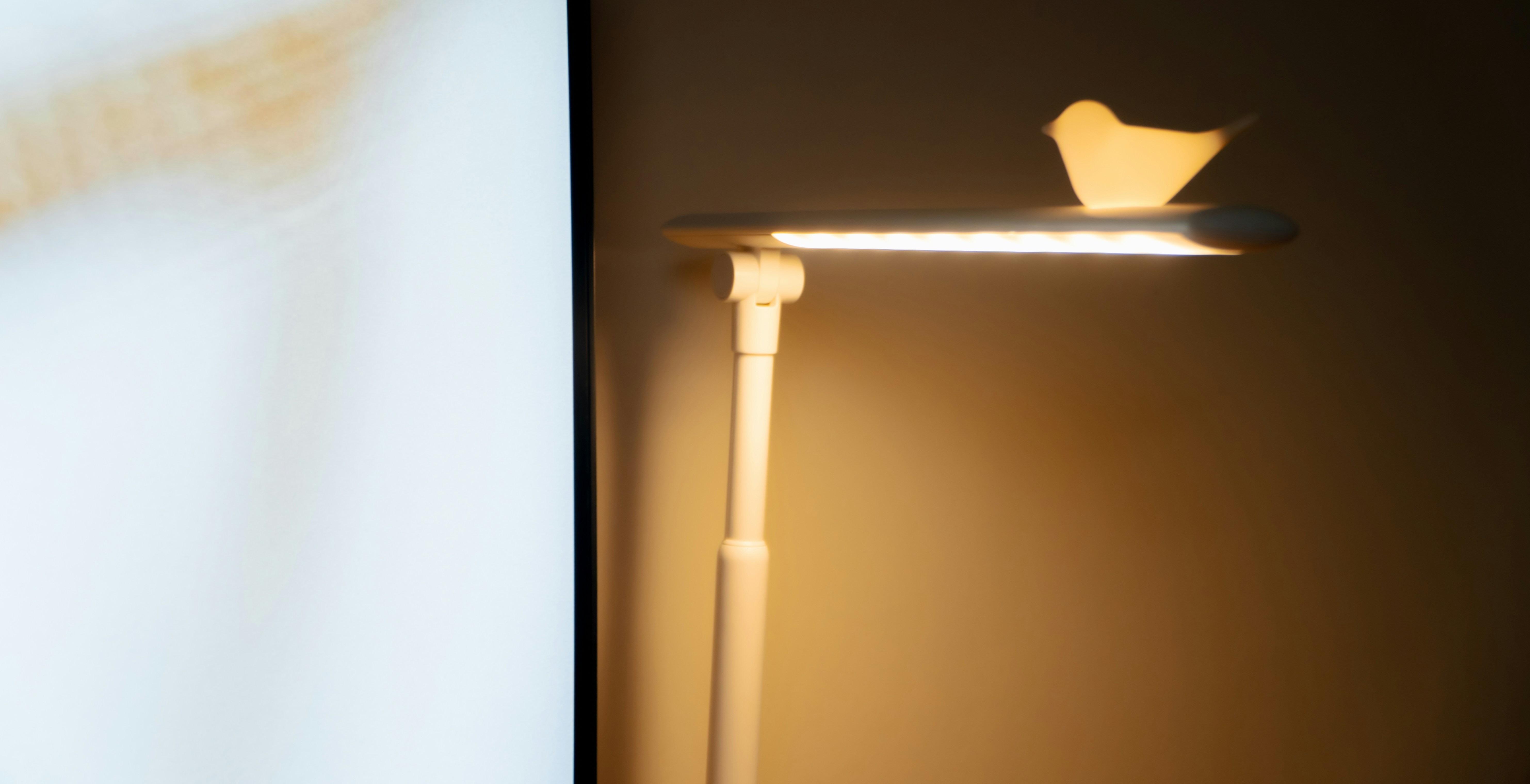 Bird on the Lamp: Quiet Warmth in a Minimalist Scene