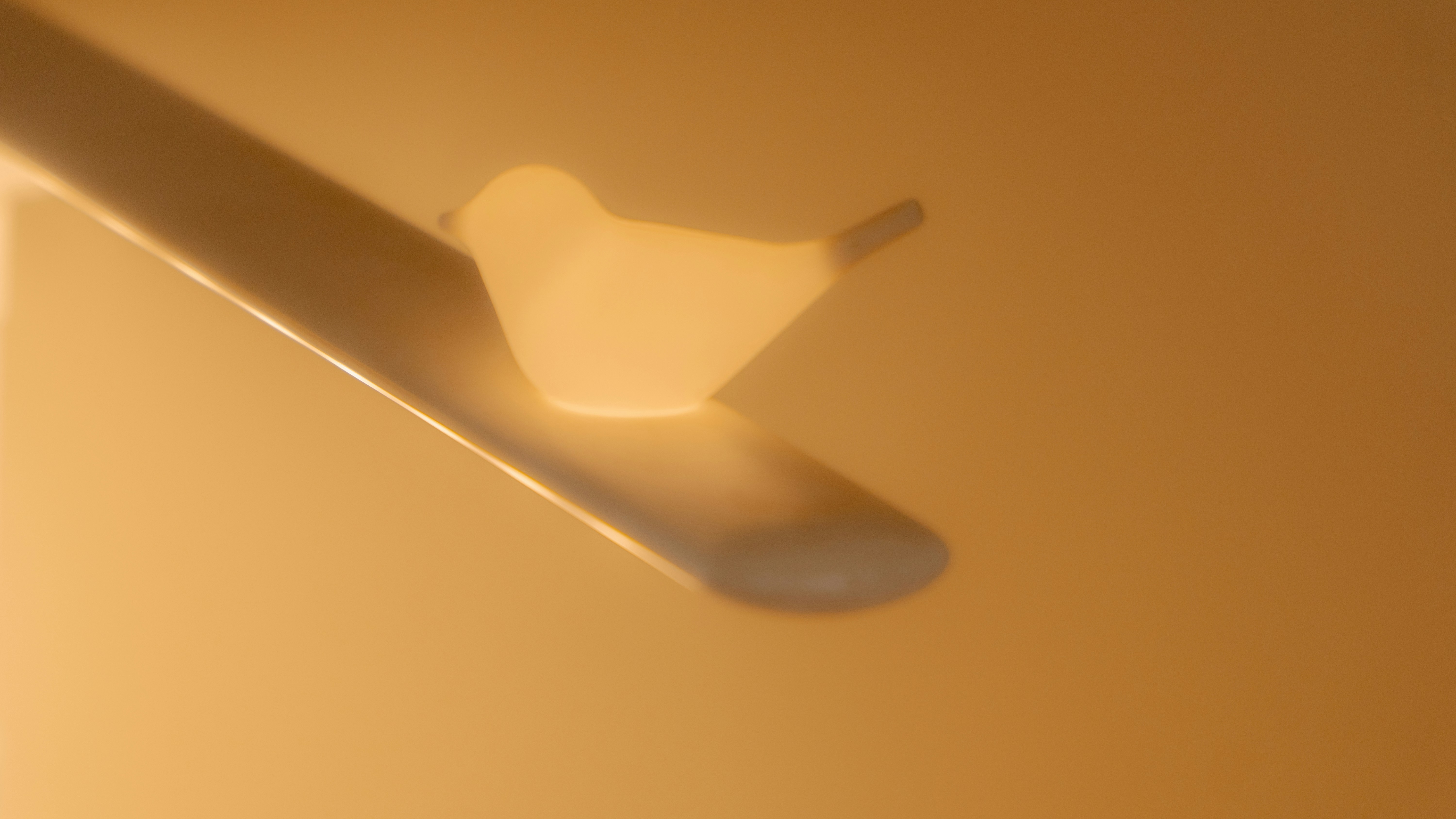 Amber Contour: A White Bird on a Curved Metal Ribbon