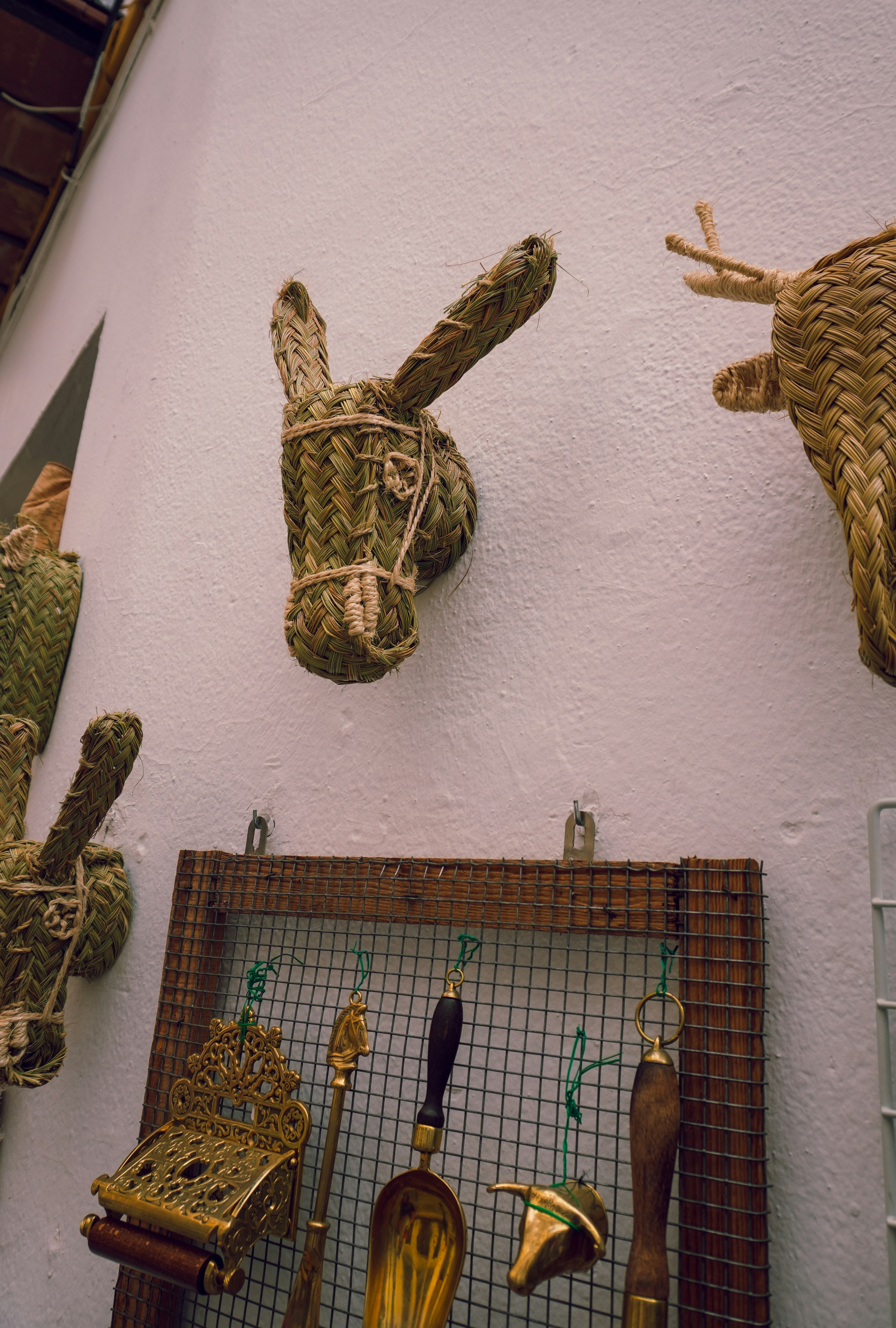 Photo by Fabio Troyli with Sony Alpha 6700