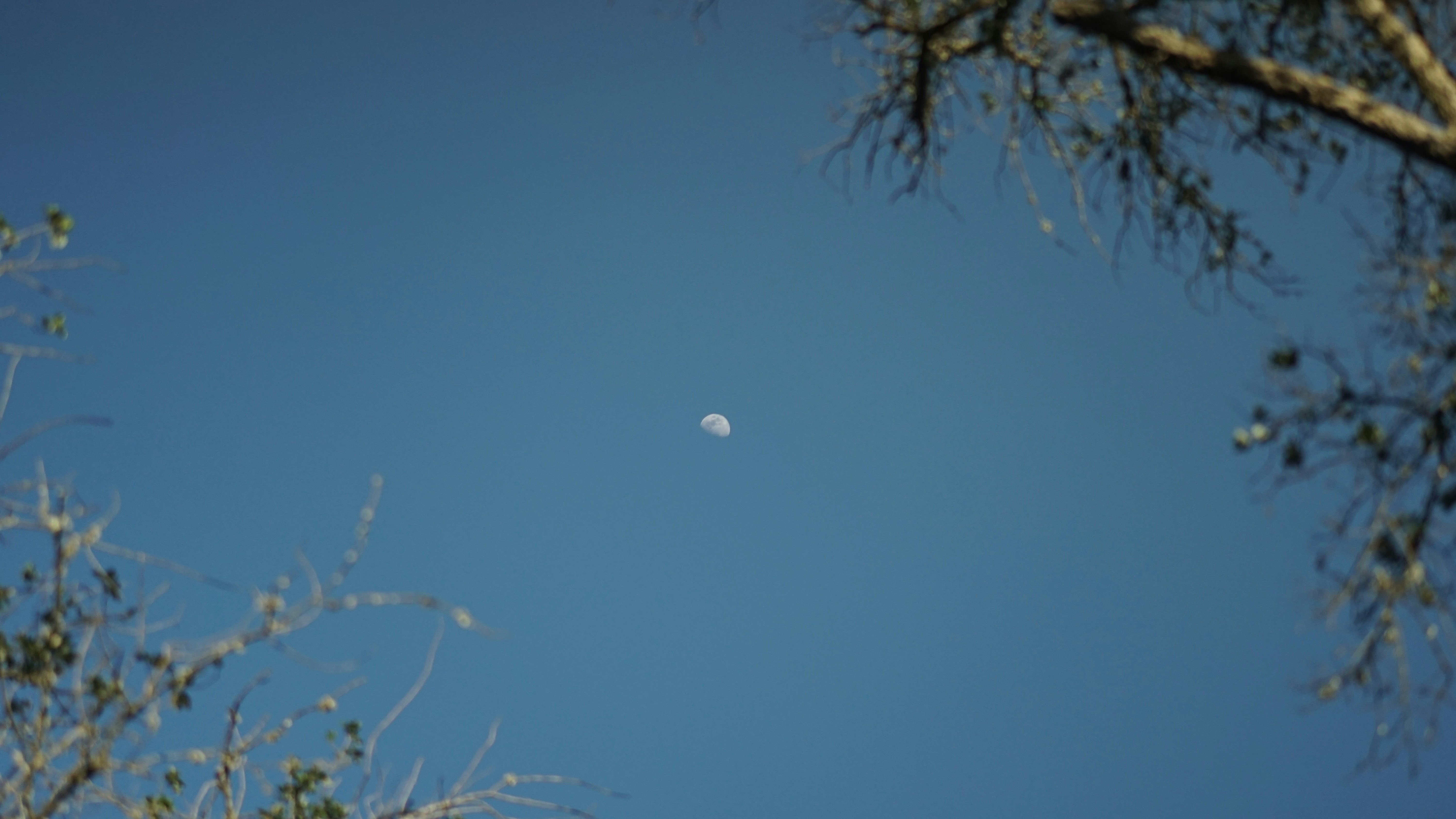 Photo by Yassine Mouden with Sony Alpha 6300