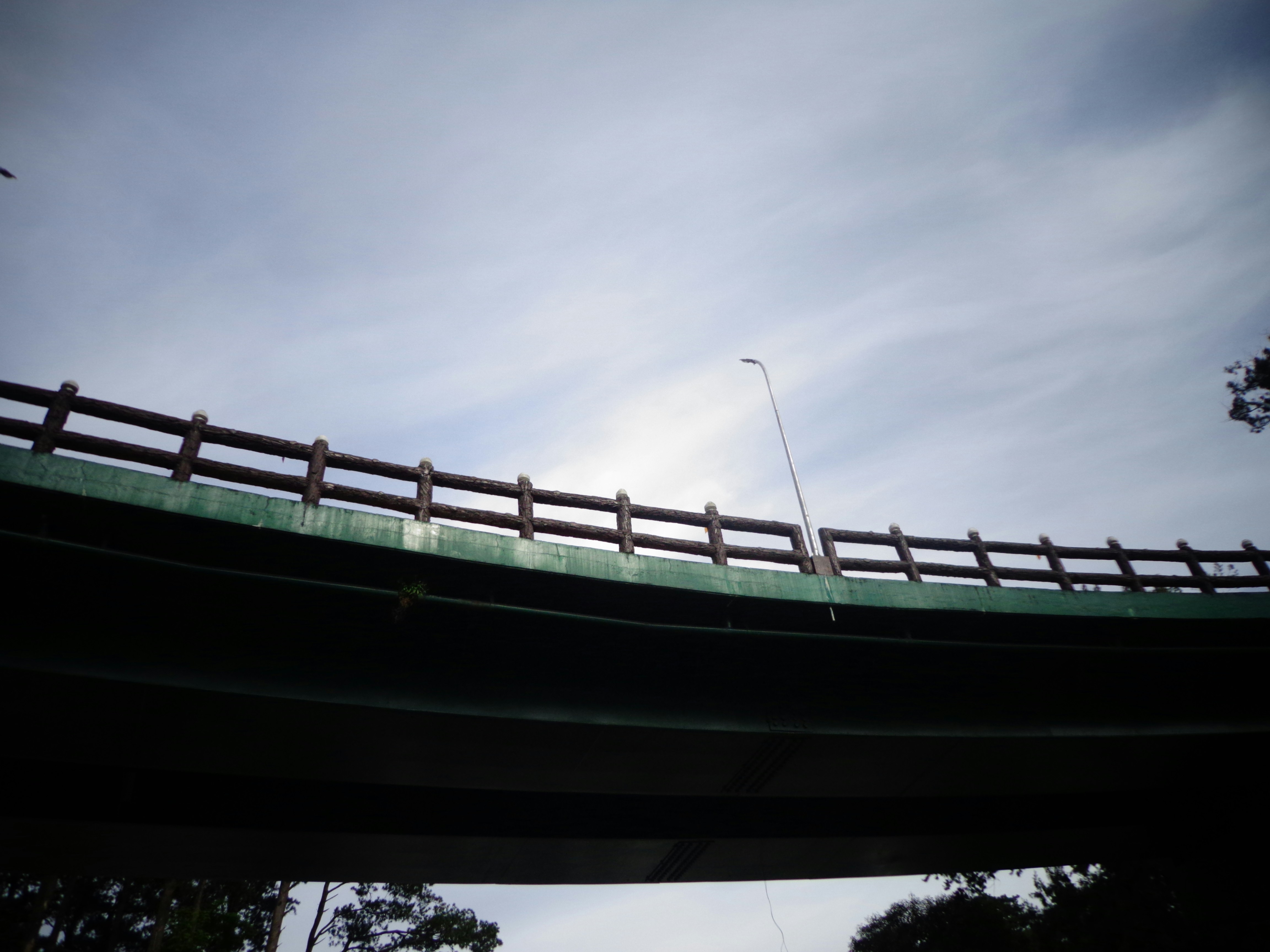 Photo by Donna Mae Moltio with Sony Cyber-shot W630