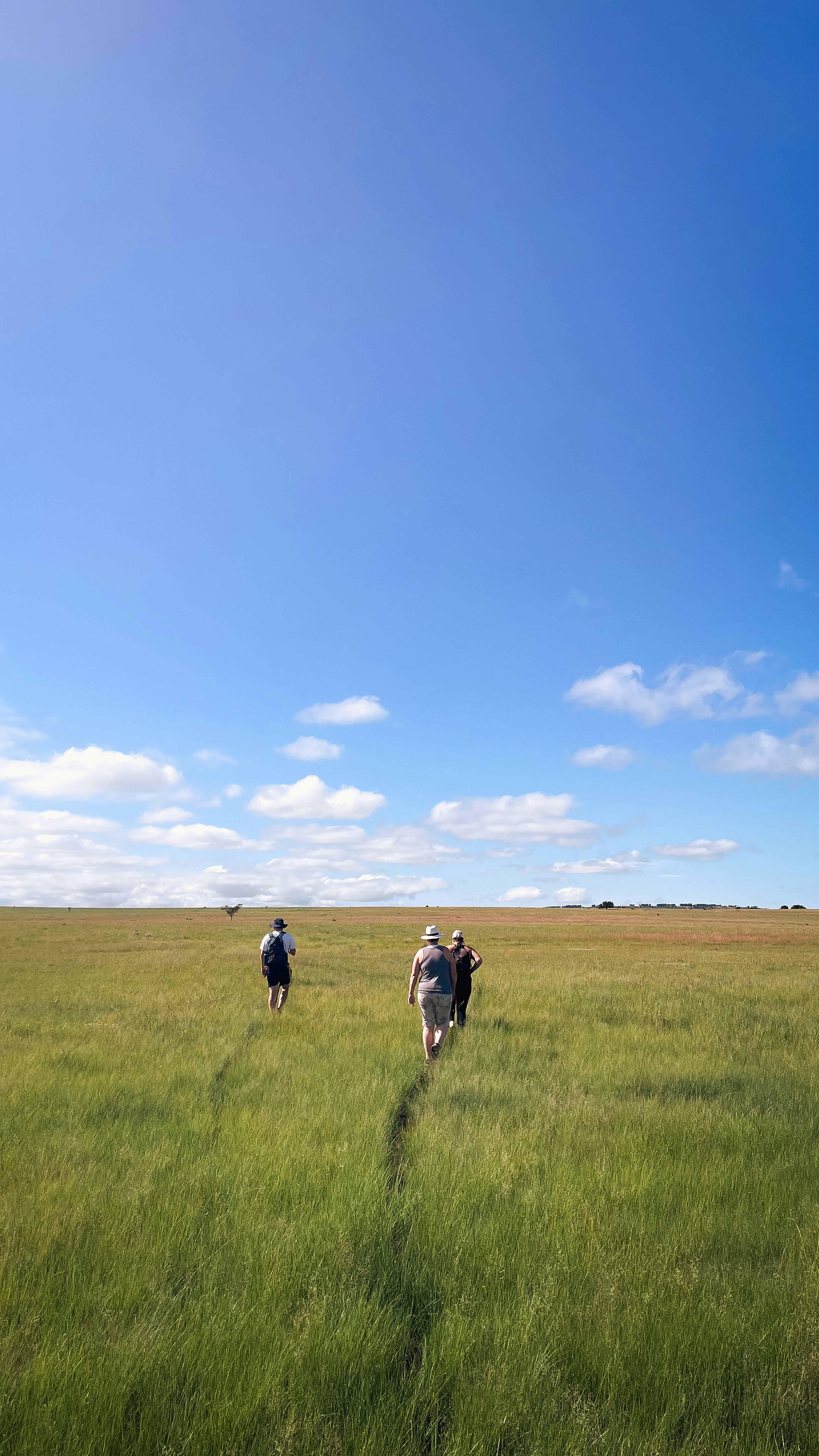 Horizon Walk: Hikers Trek a Narrow Path Across Endless Prairie