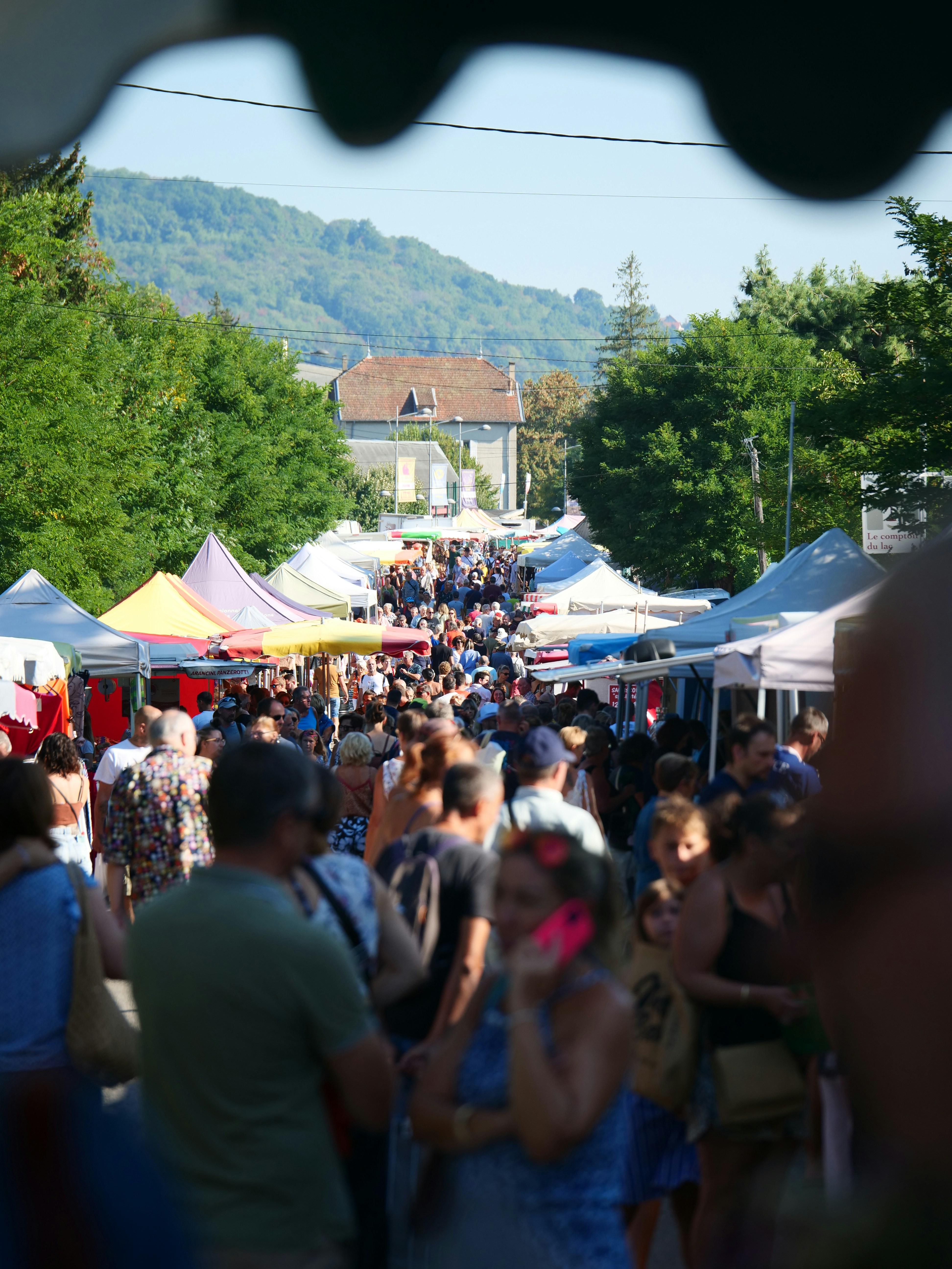 Tented Market Corridor: Color, Crowd, and a Distant Hillline