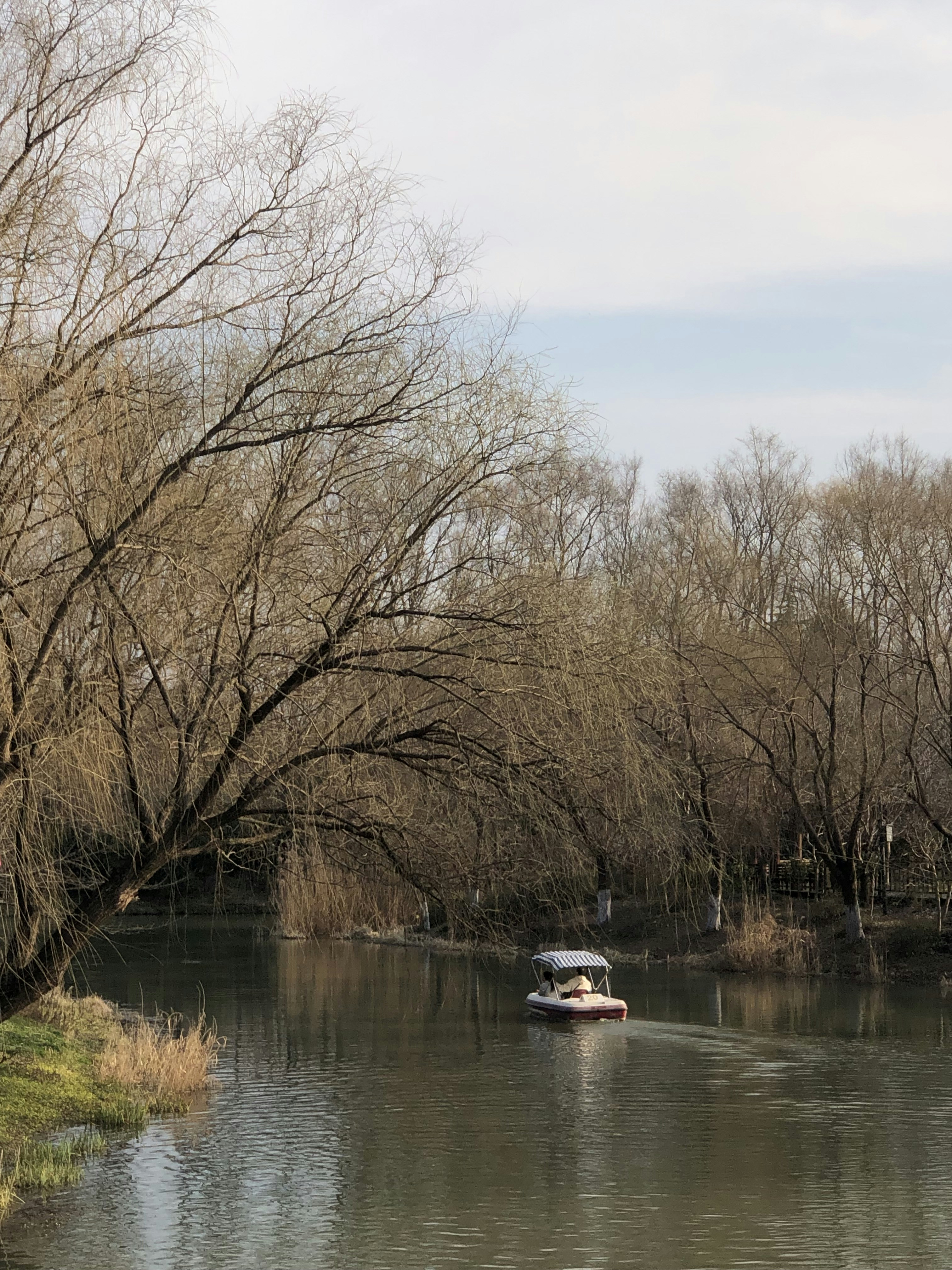 Photo by Fan WU with Apple iPhone X