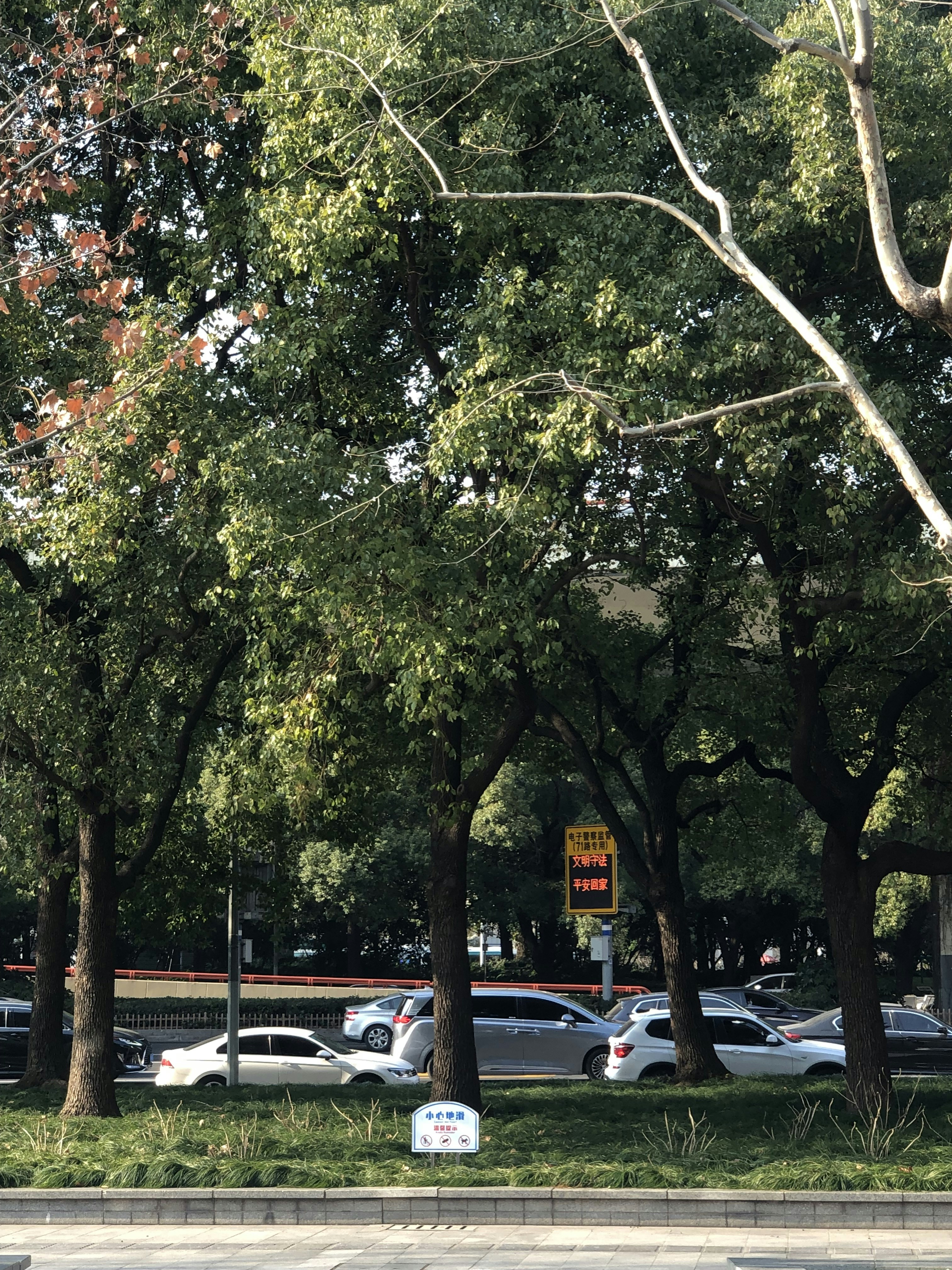 Photo by Fan WU with Apple iPhone X