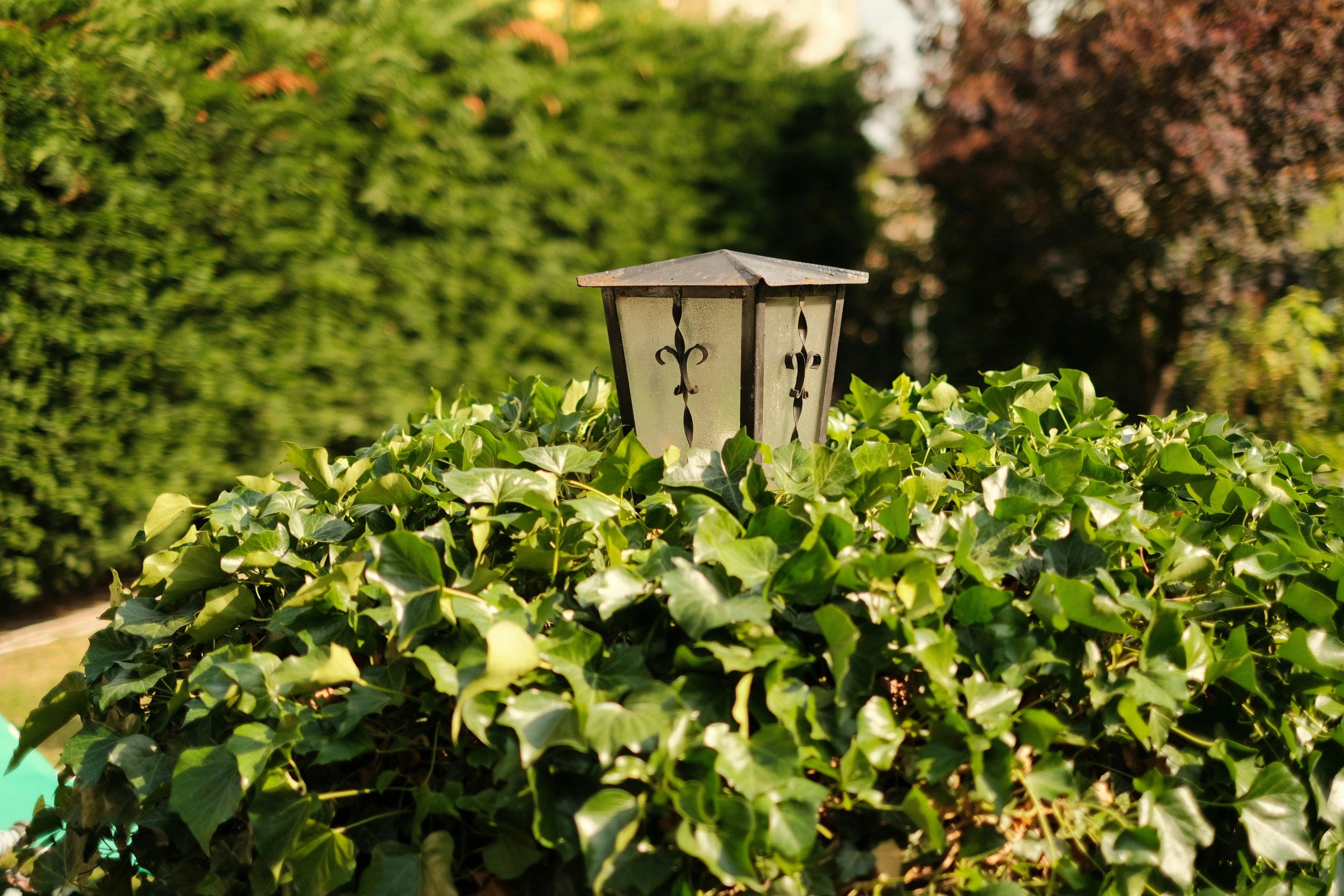 Photo by Konrad Hofmann with Fujifilm X-T30 II