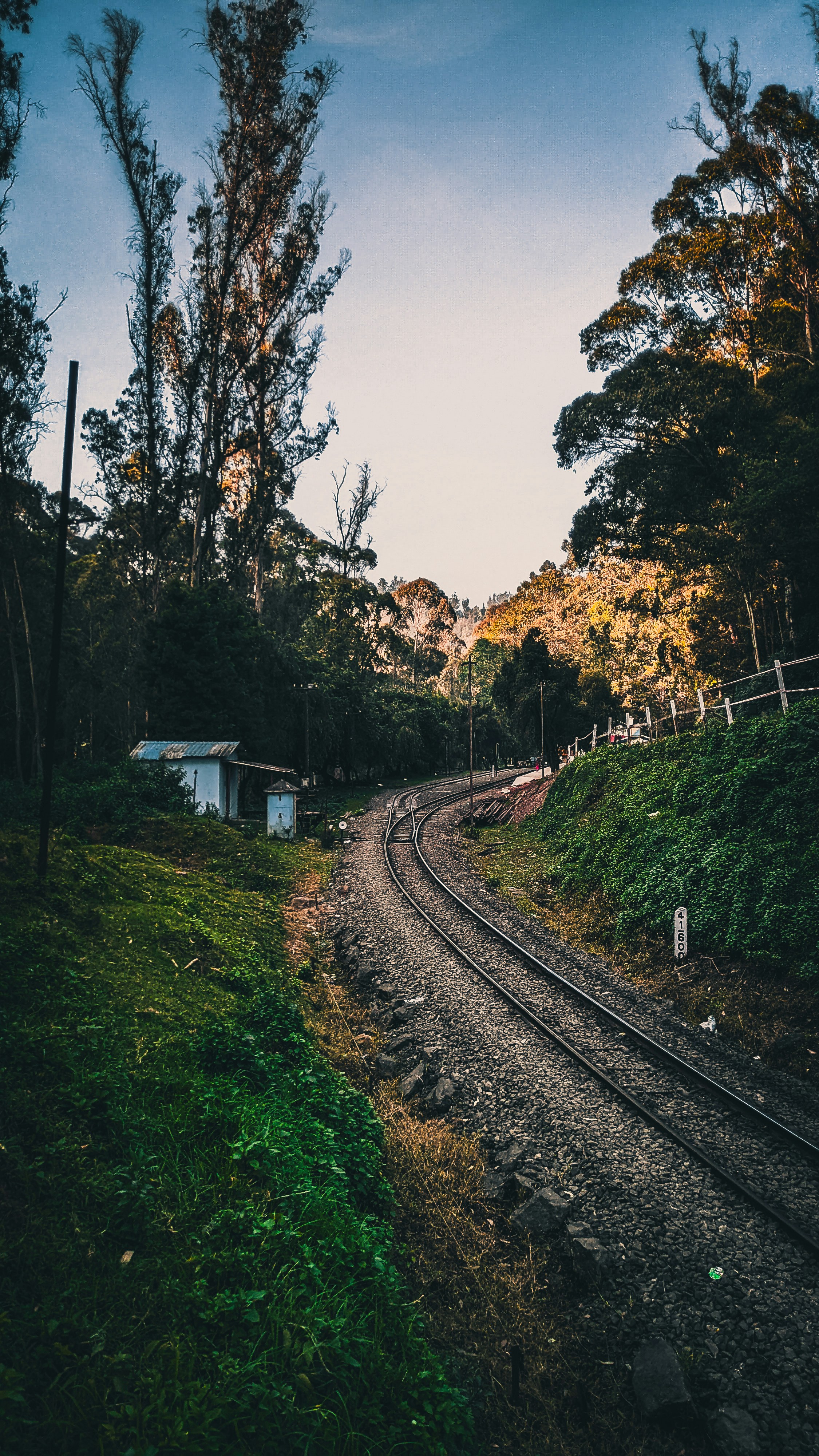 Photo by Calvin Joshy with Realme Narzo 50 Pro