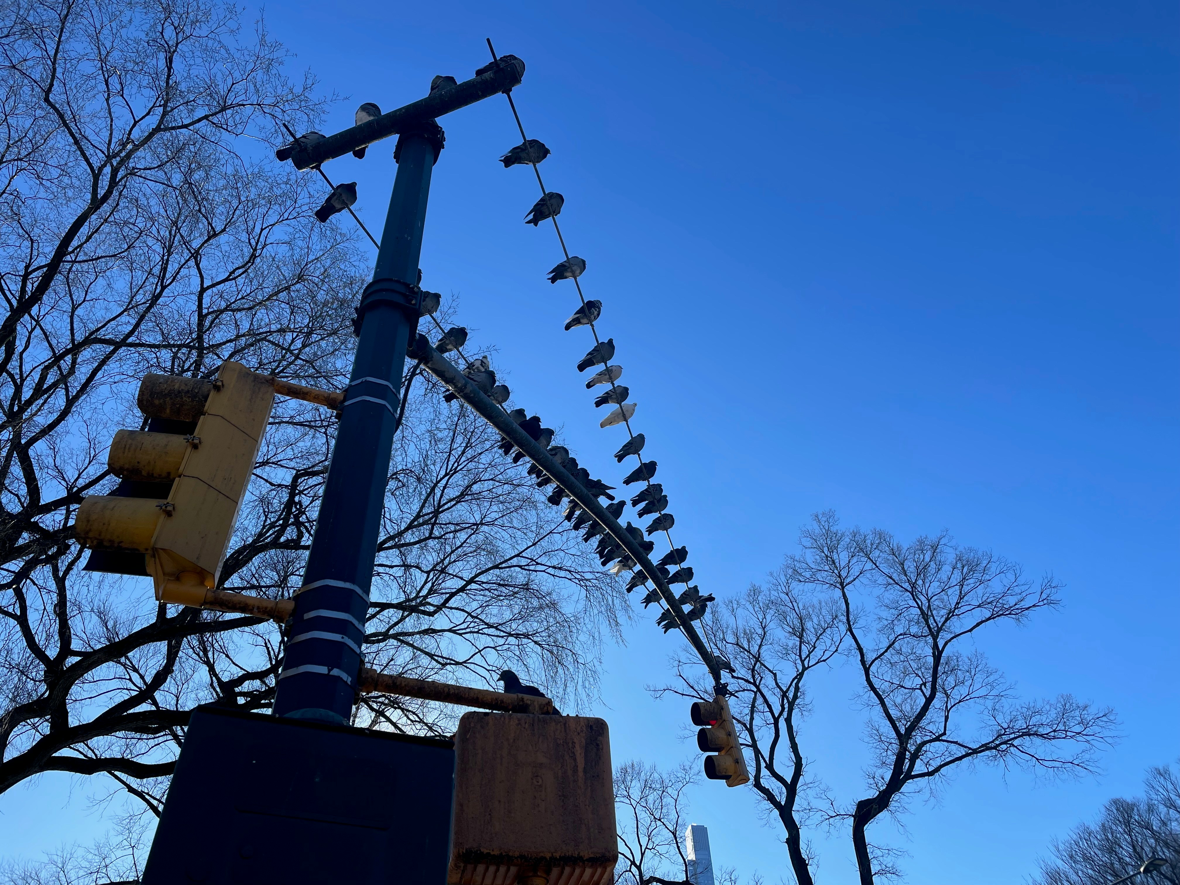 Leaning Blue Signal Mast Framed by a Winter Sky