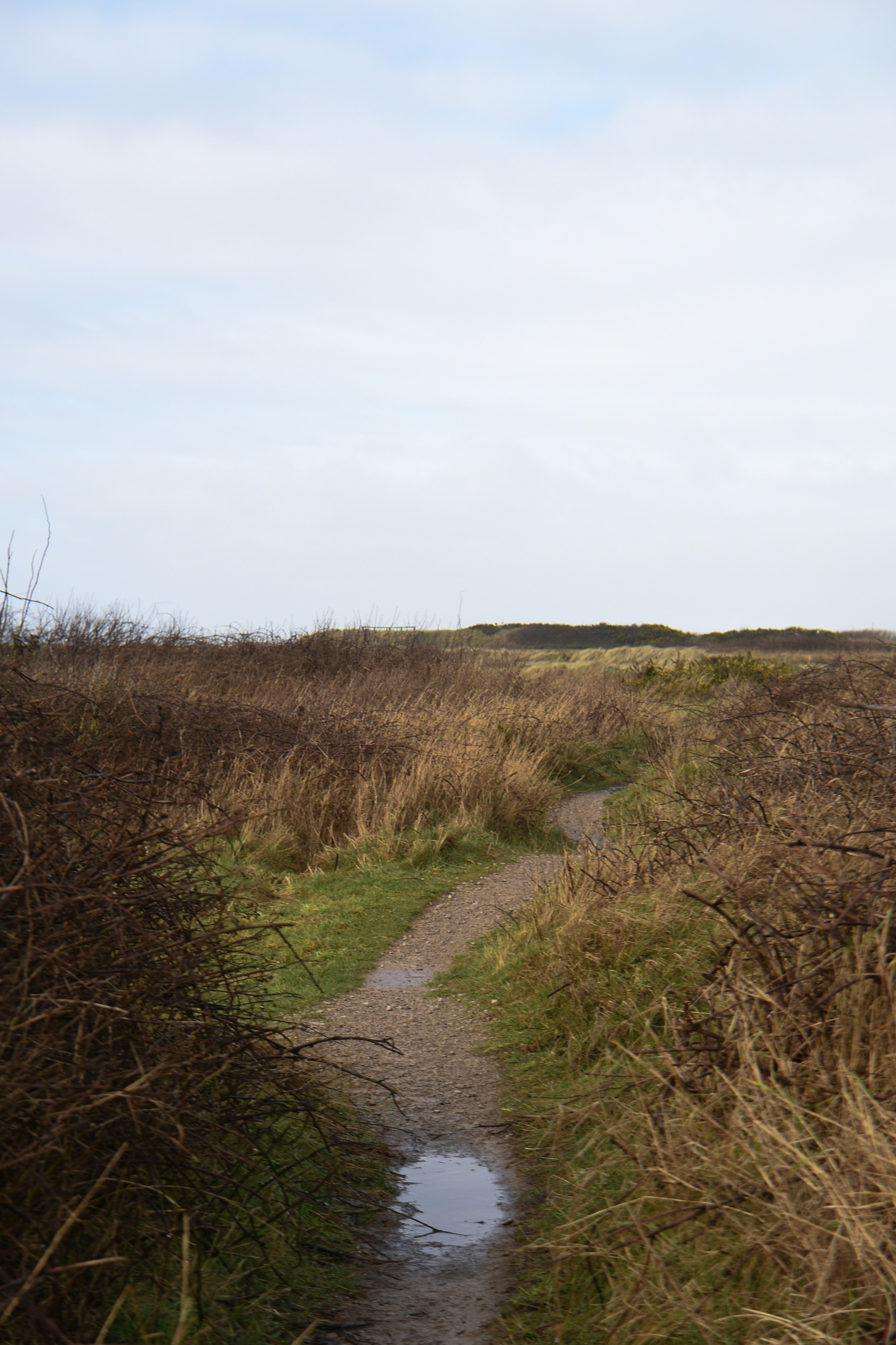 A path in the middle of a grassy field photo – Free Barrow-in-furness ...