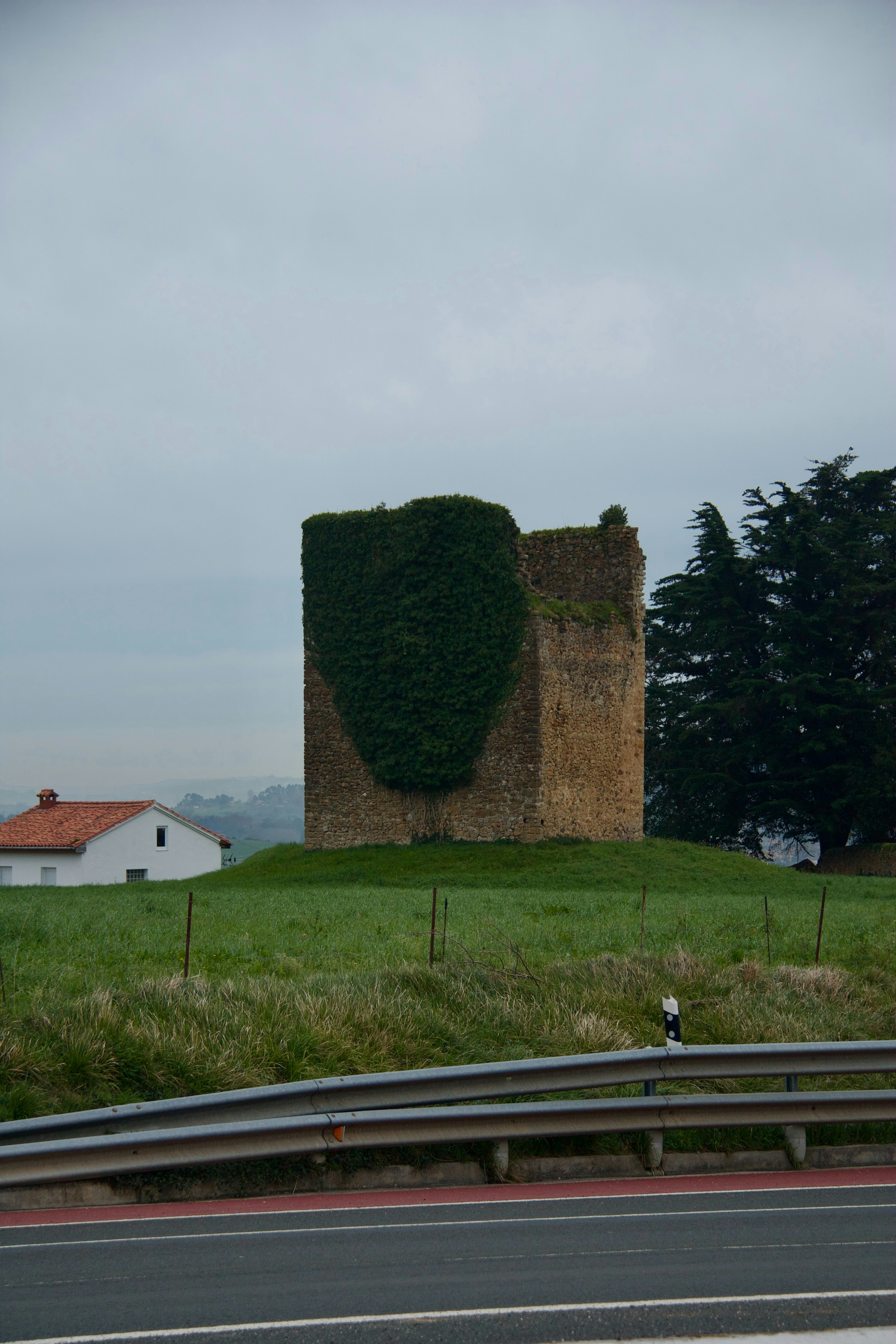 Ivy-Heart Bastion on a Quiet Hill by the Highway