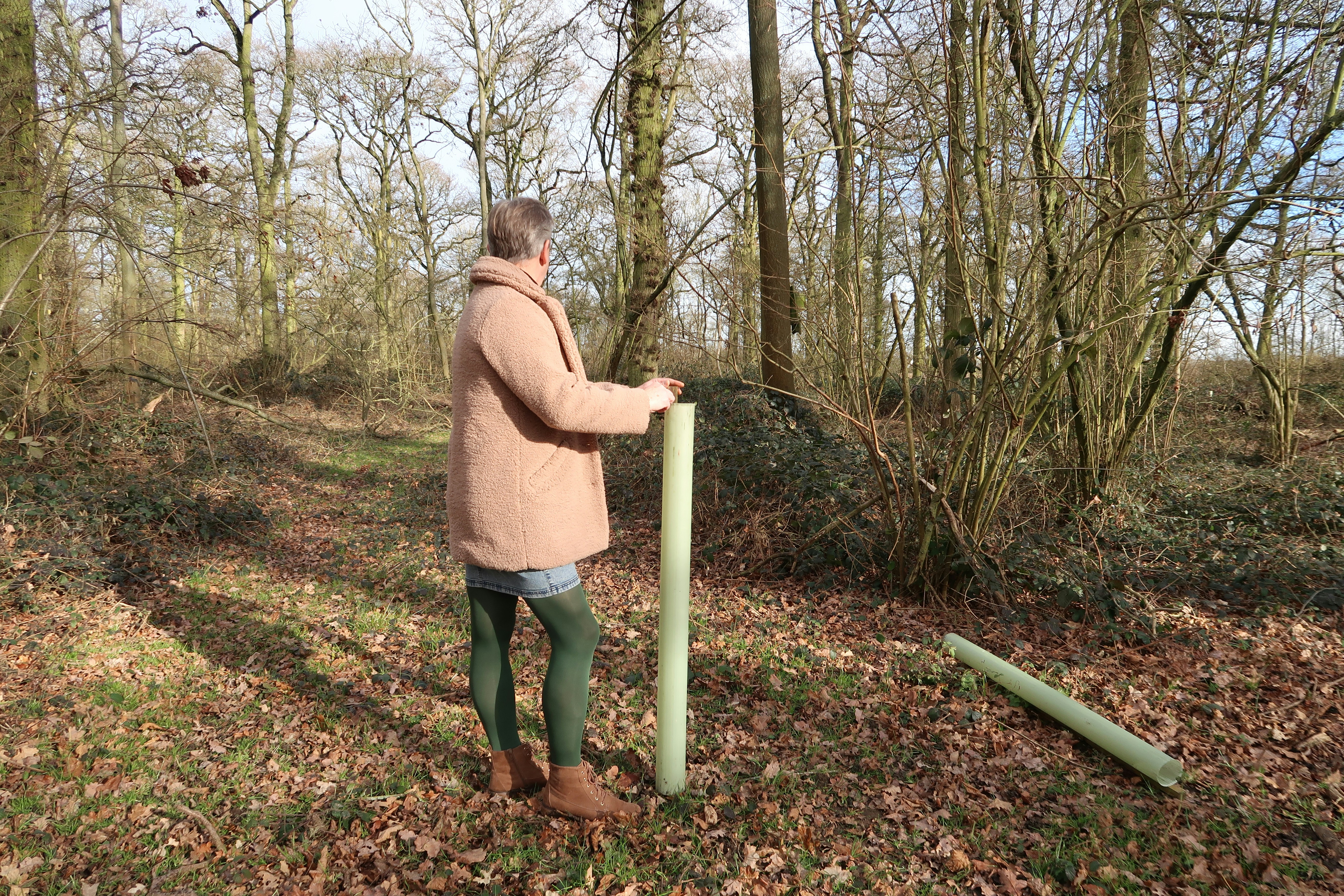 Person standing in a wooded area, interacting with a green pole amidst fallen leaves and trees. Sunlight filters through the branches.