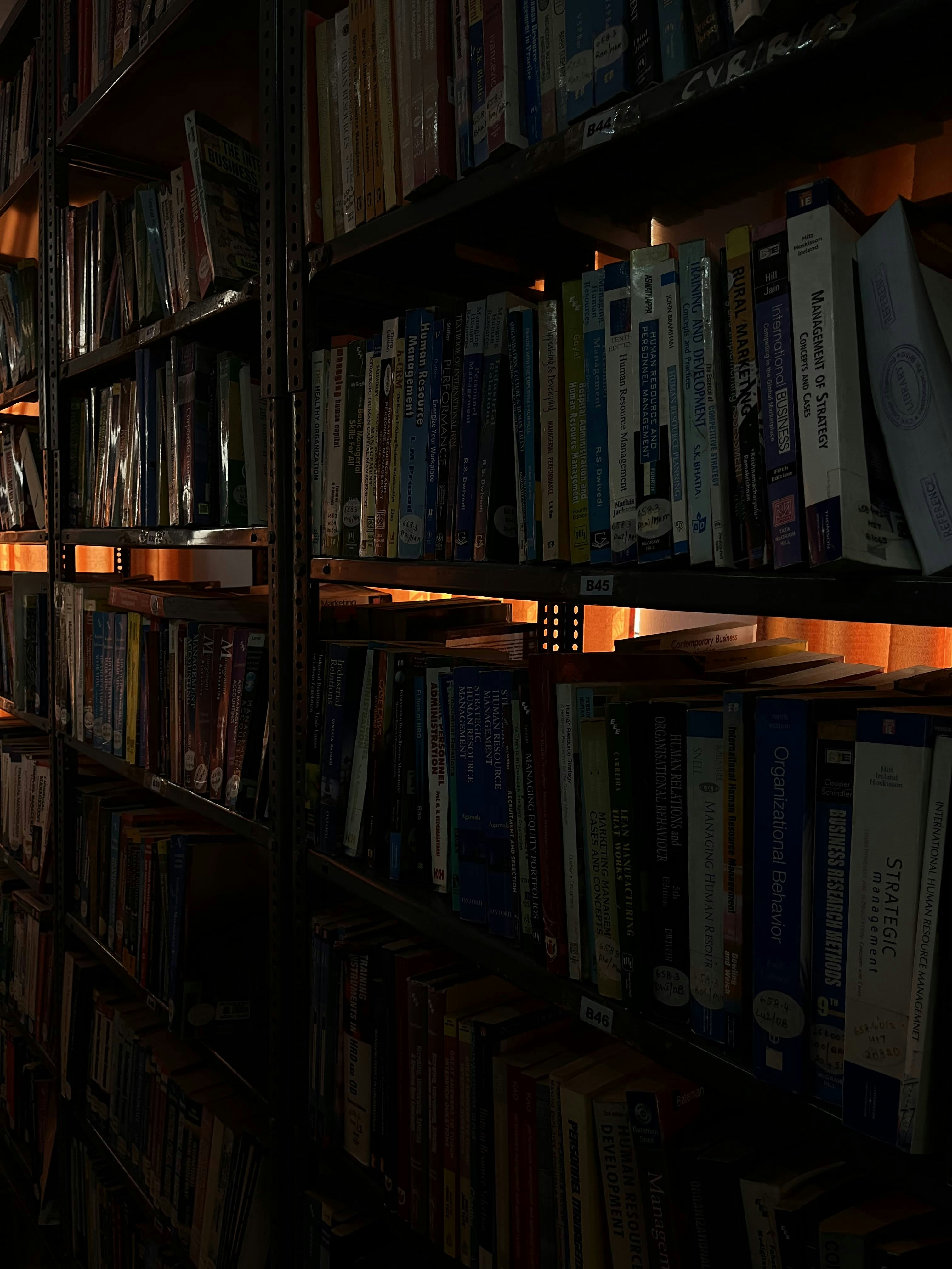 Library Aesthetic Pictures | Download Free Images on Unsplash