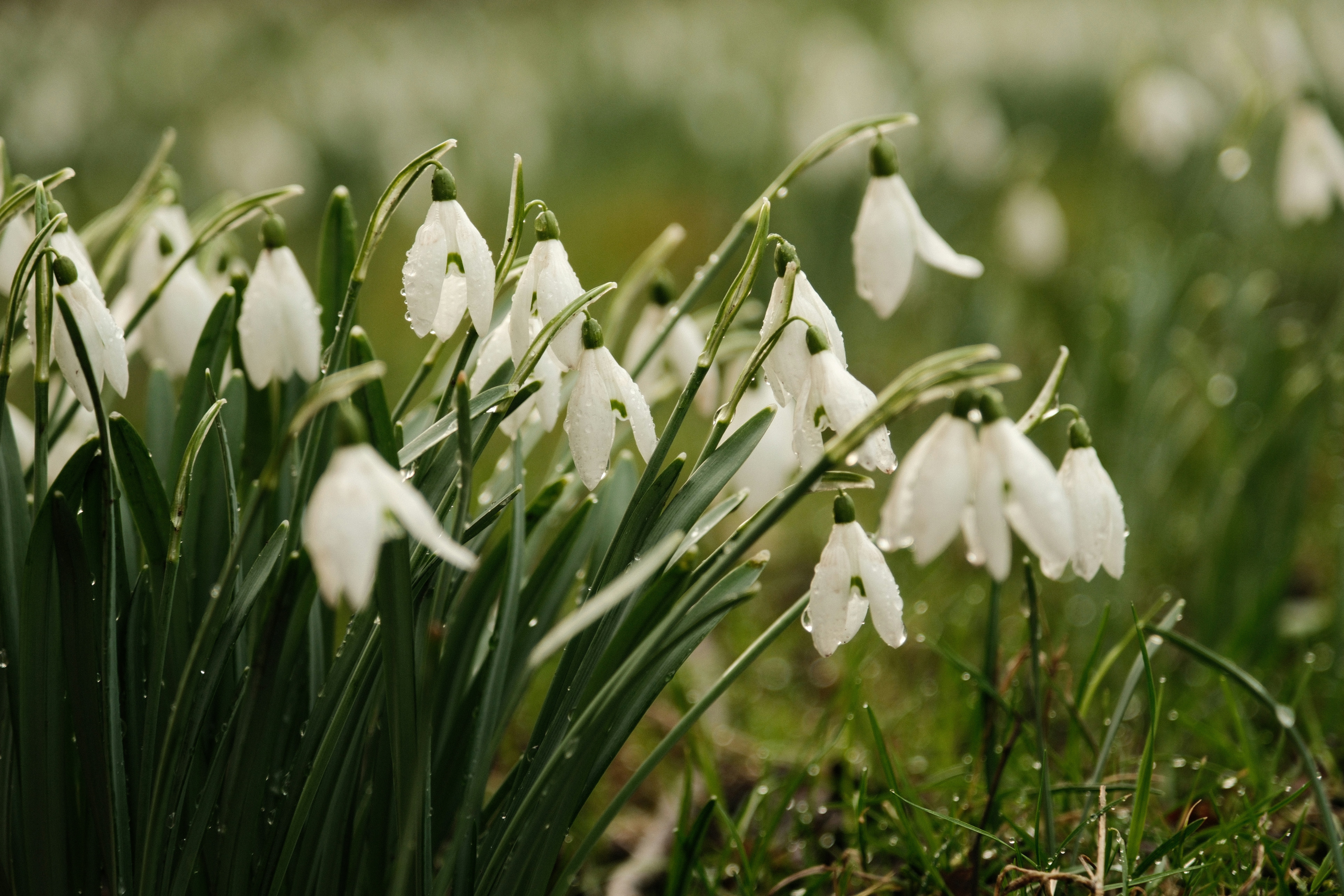 Photo by Stefan Bischoff with Fujifilm X-T5