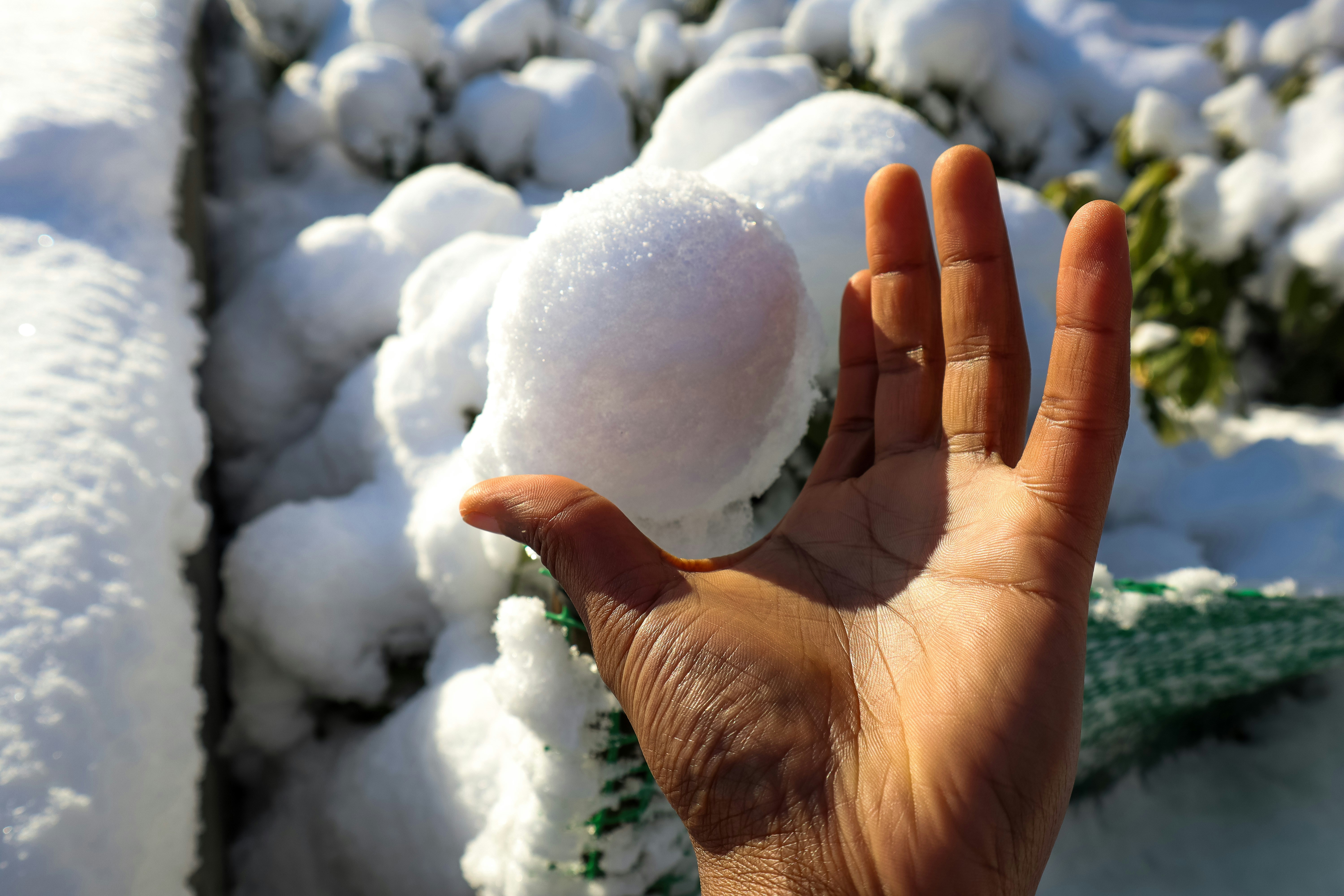 A hand holding a snowball in front of a pile of snow photo – Free ...