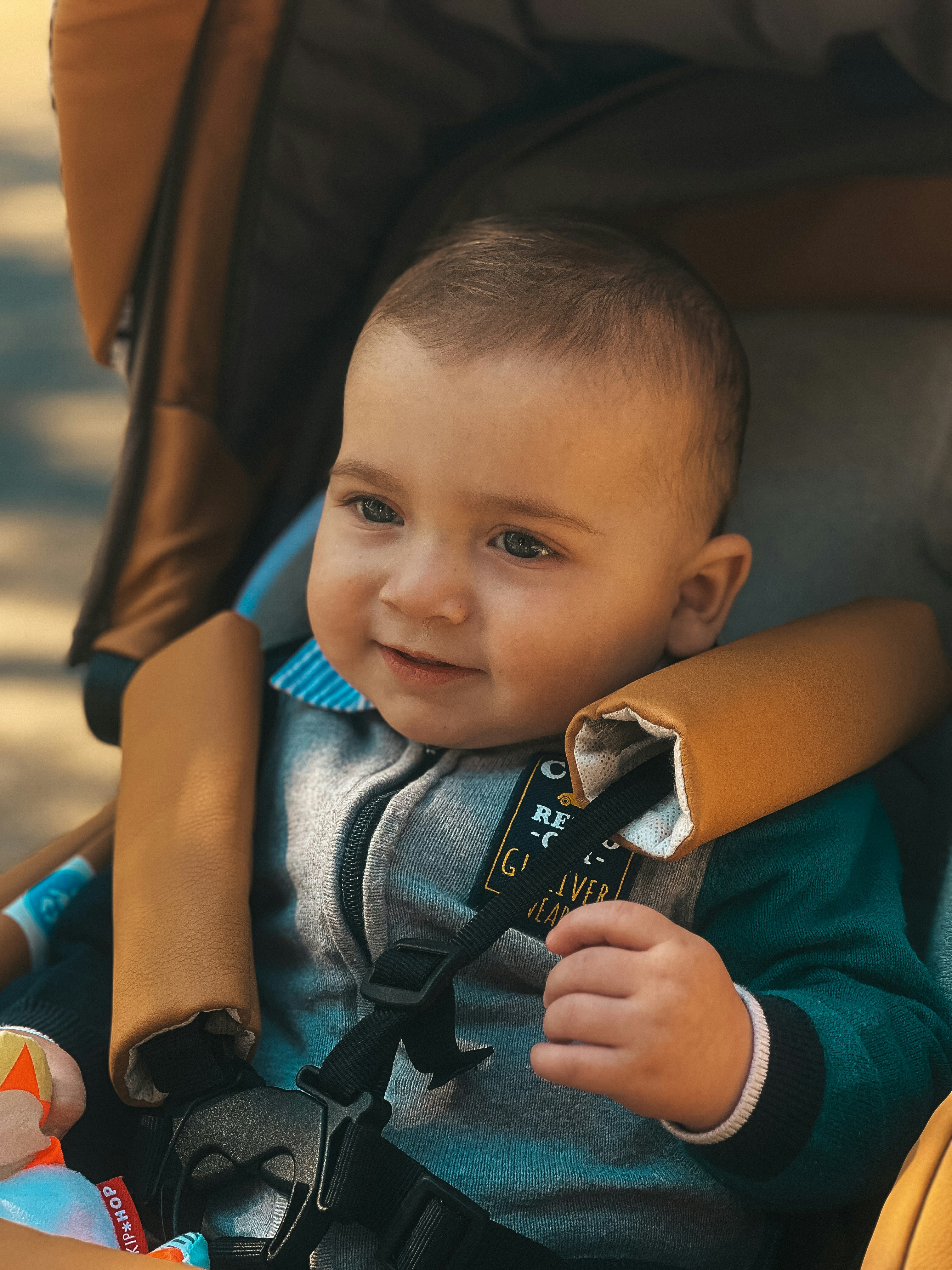 30k+ Baby Stroller Pictures | Download Free Images on Unsplash