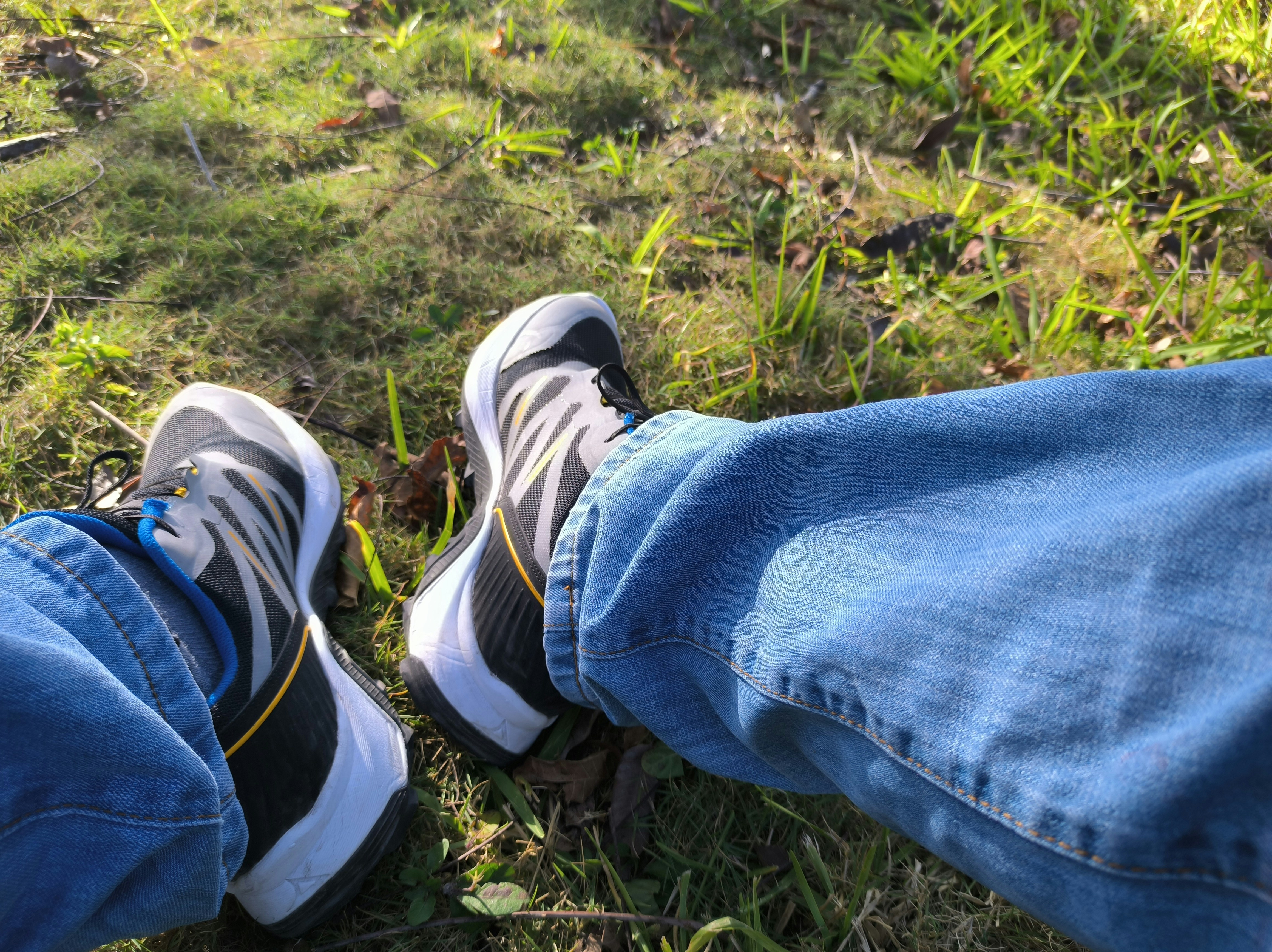 Grounded in Blue: Sneakers Framed by Sunlit Grass