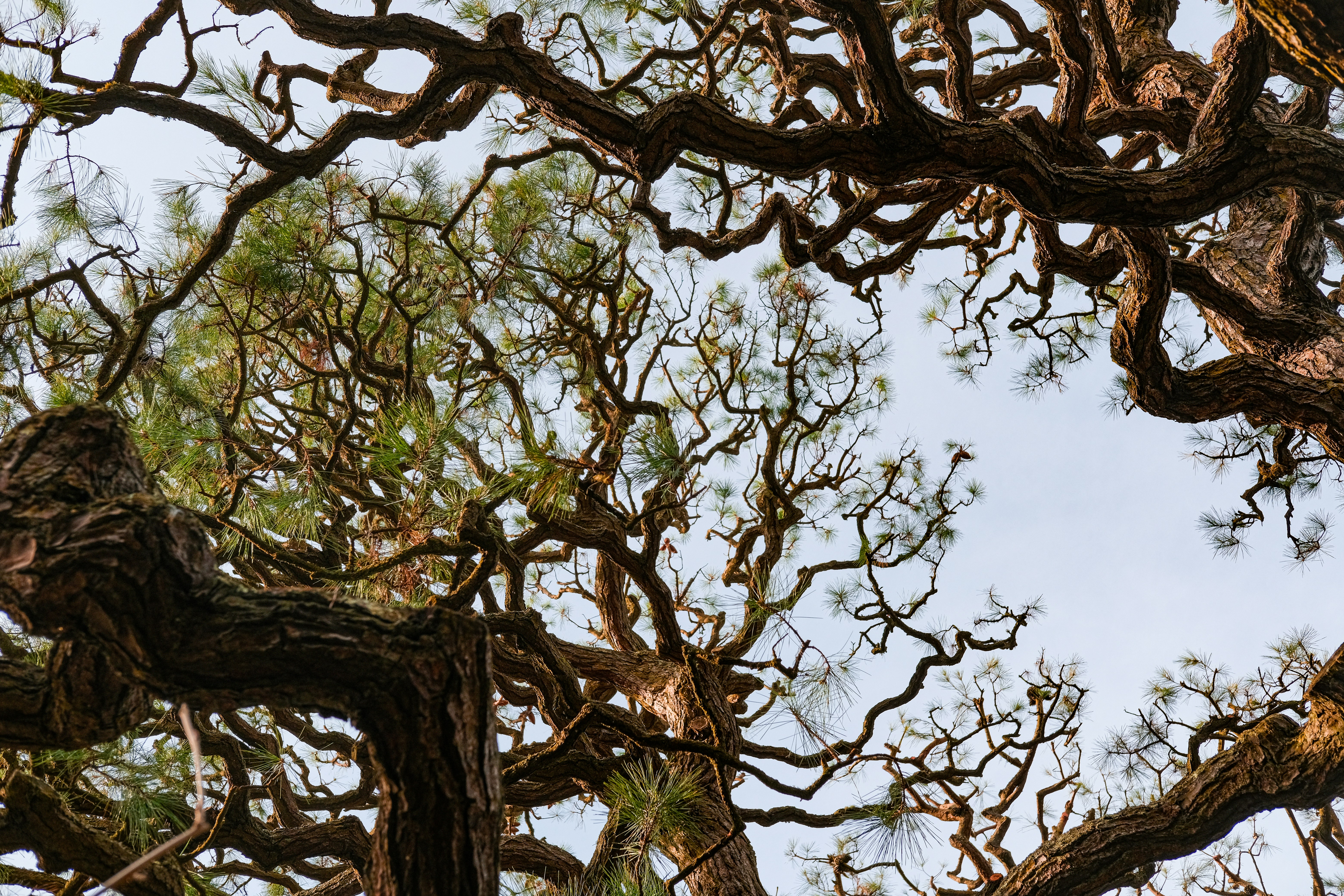 Dmitry Kropachev (@kropachev) | Communauté photos Unsplash