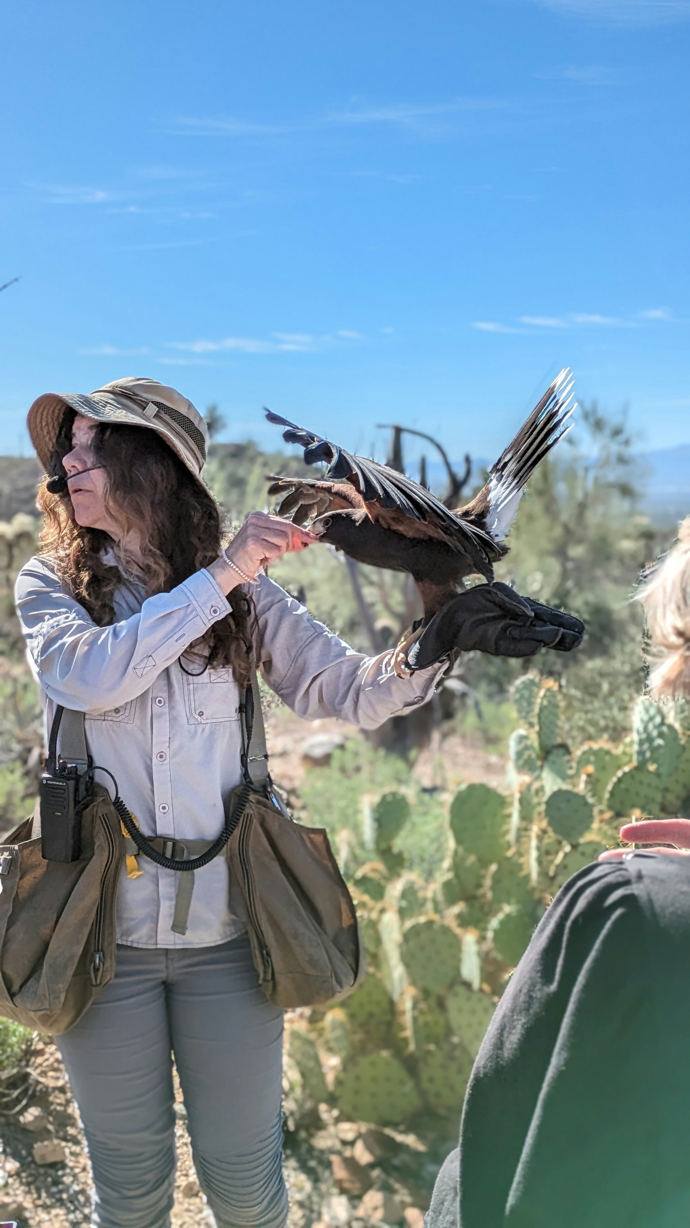 Winged Interaction in a Desert Garden