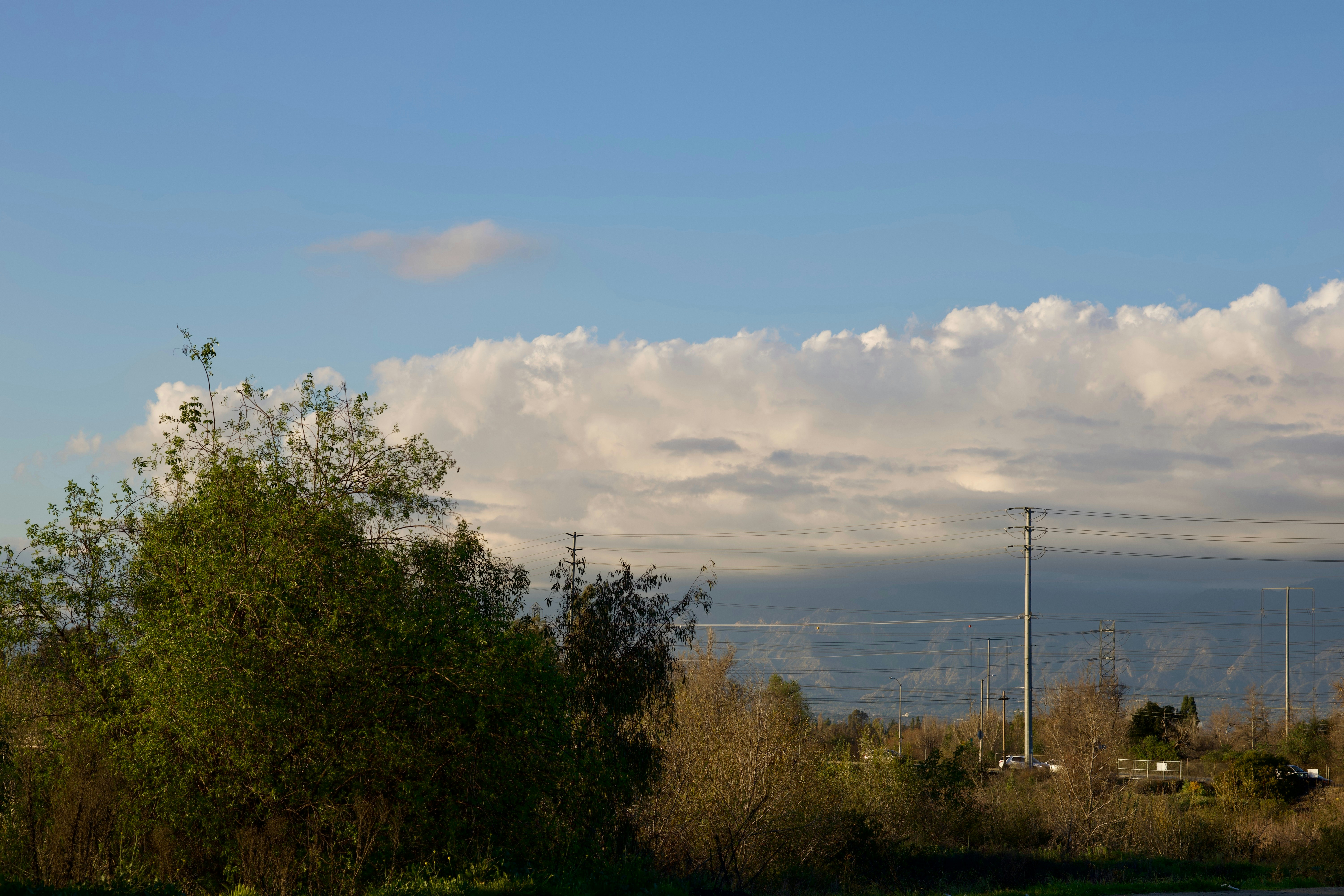 a large cloud is in the sky above some trees