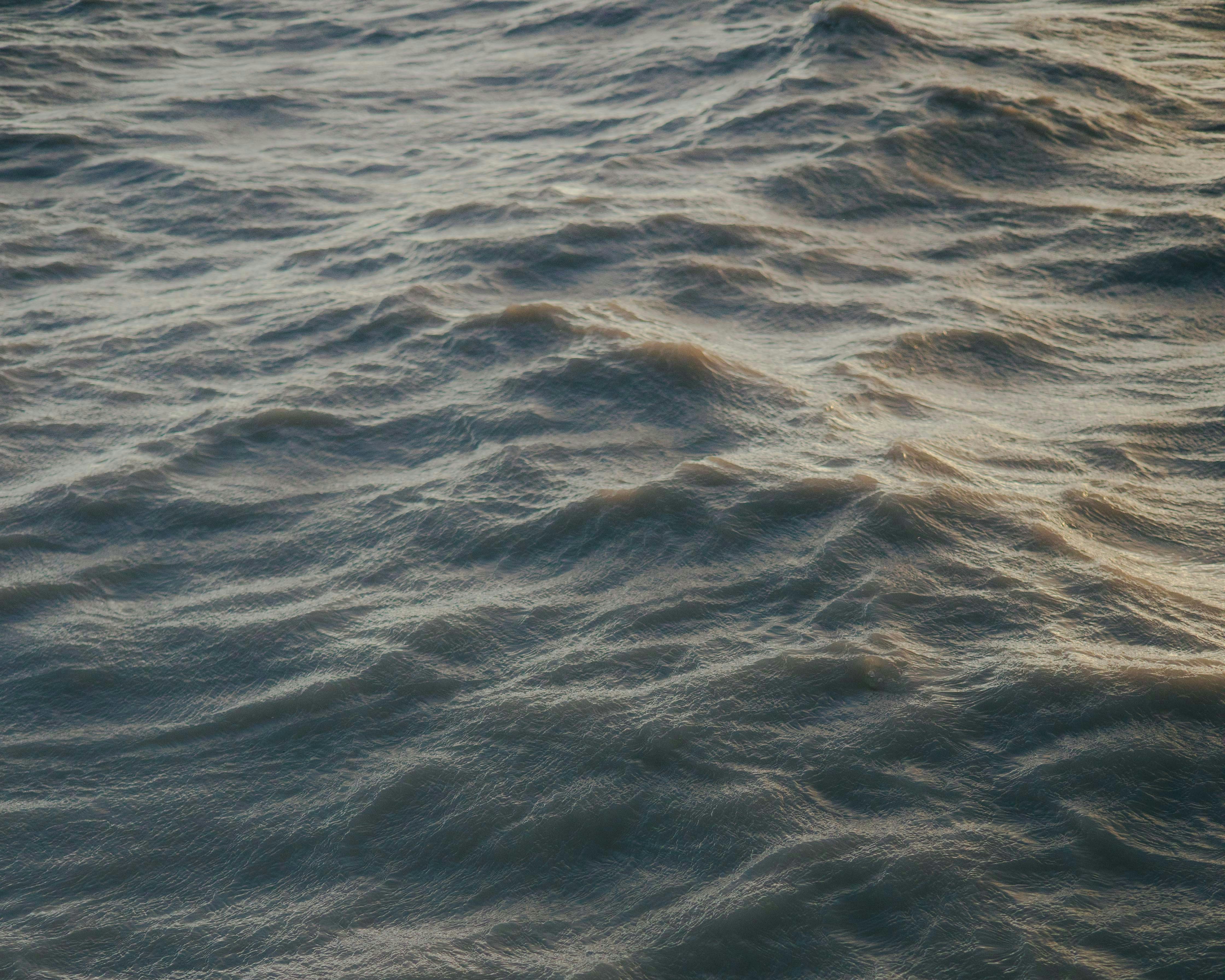 Photo by Ciocan Ciprian with Canon EOS R